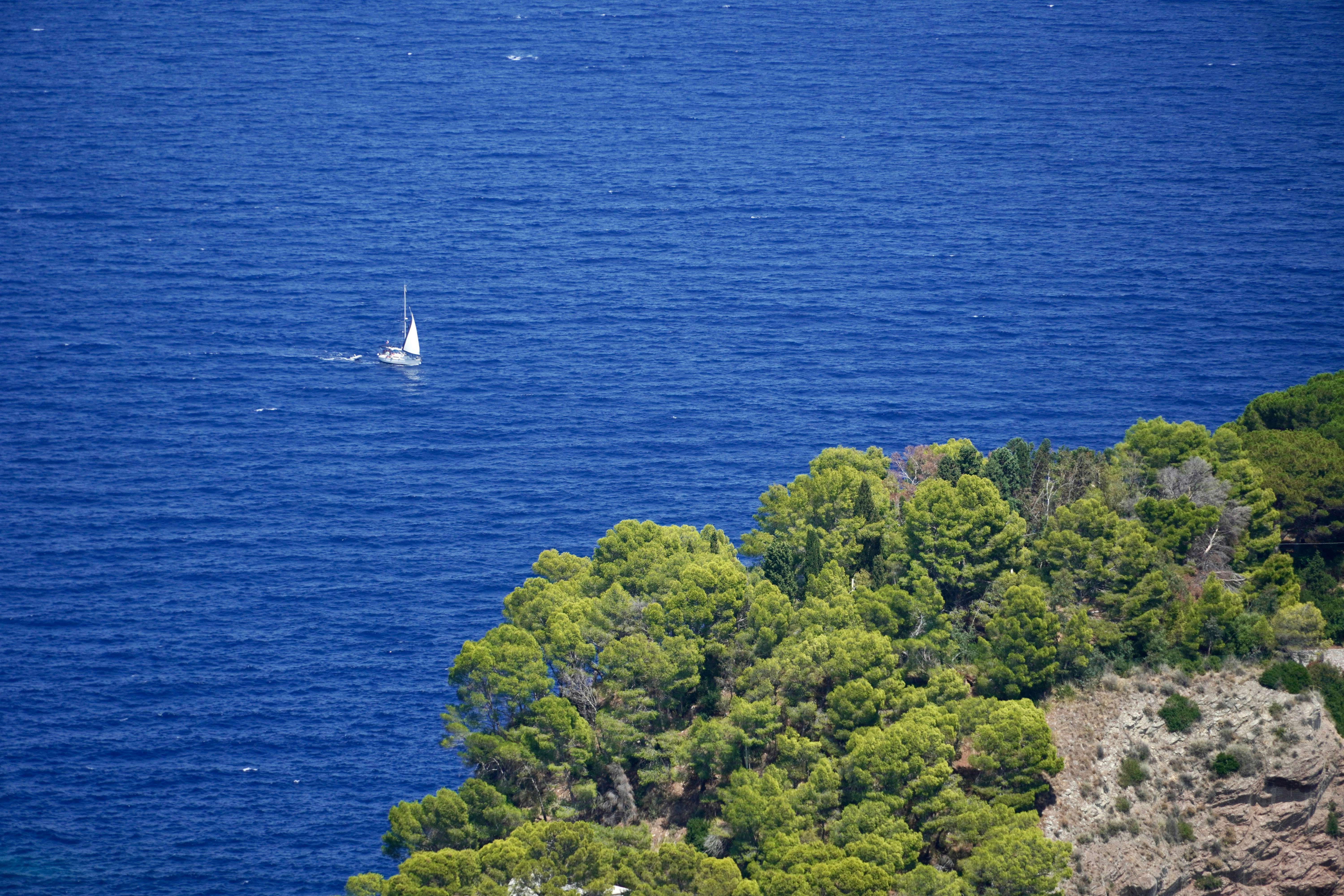 Sailing Serenity: A Dance with the Waves