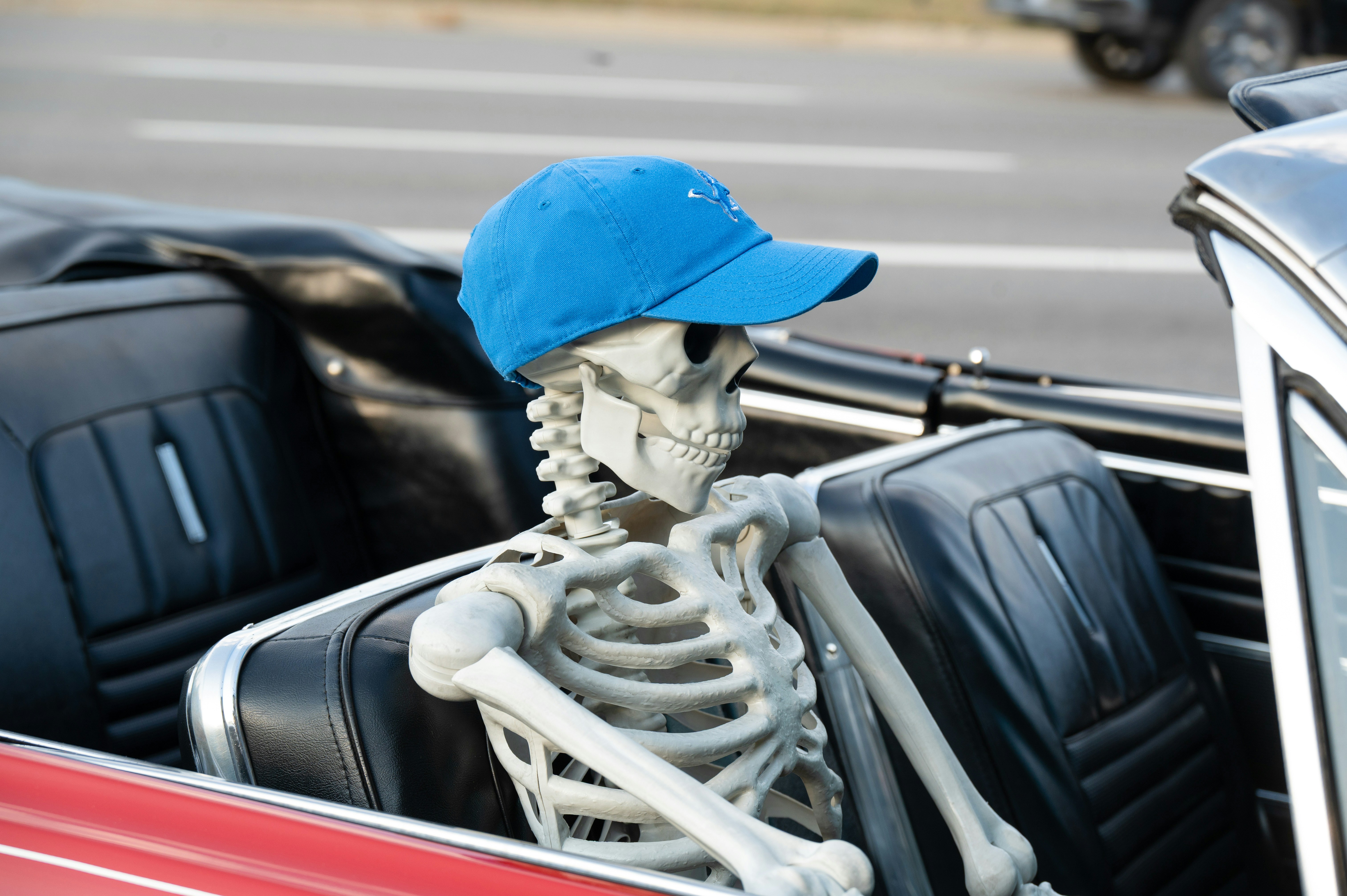 The Joyride of a Lifetime: A Skeleton's Adventure