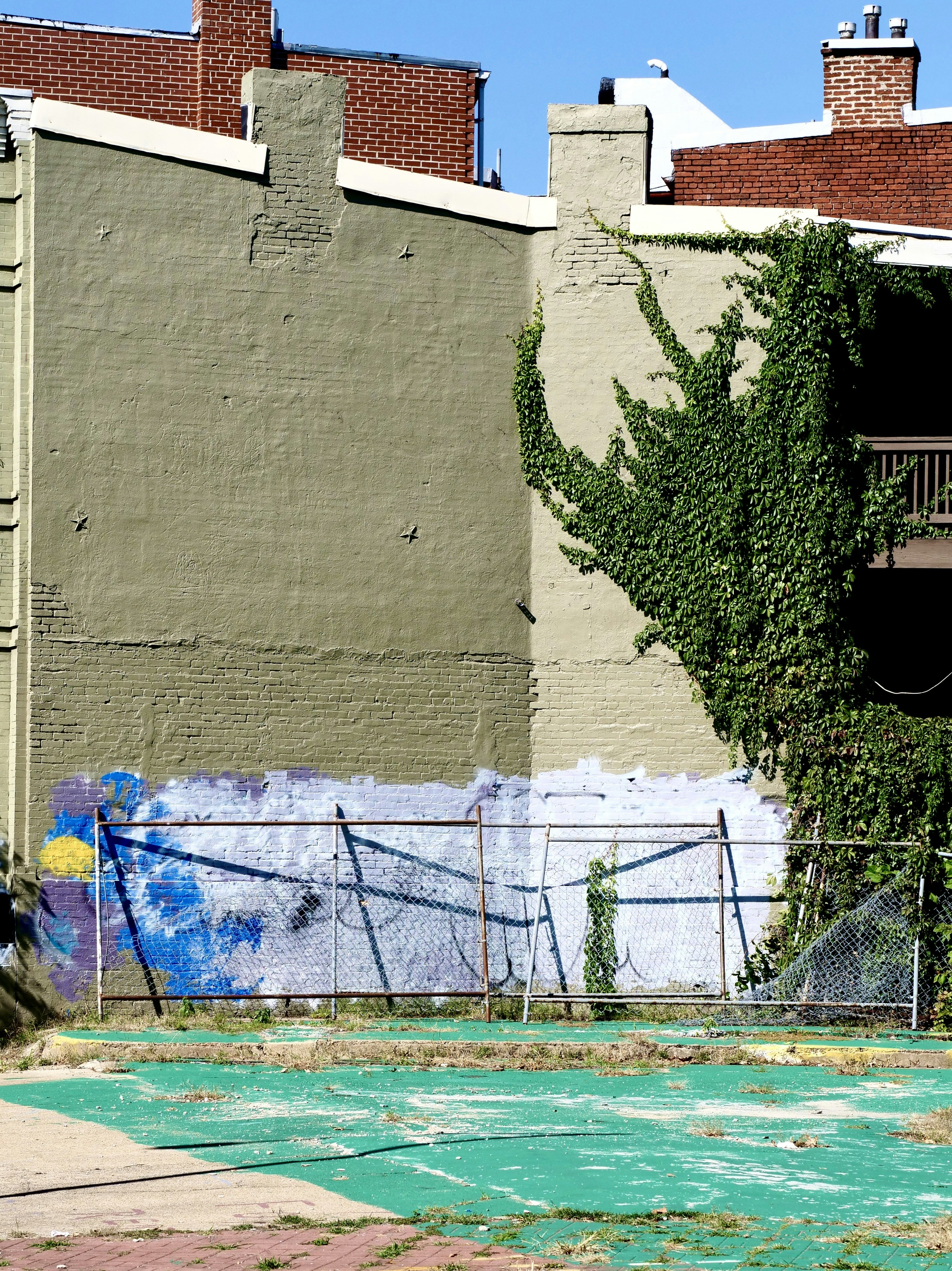 Cityscape - people abandon, nature takes over | Overgrown ivy on a building wall with graffiti.