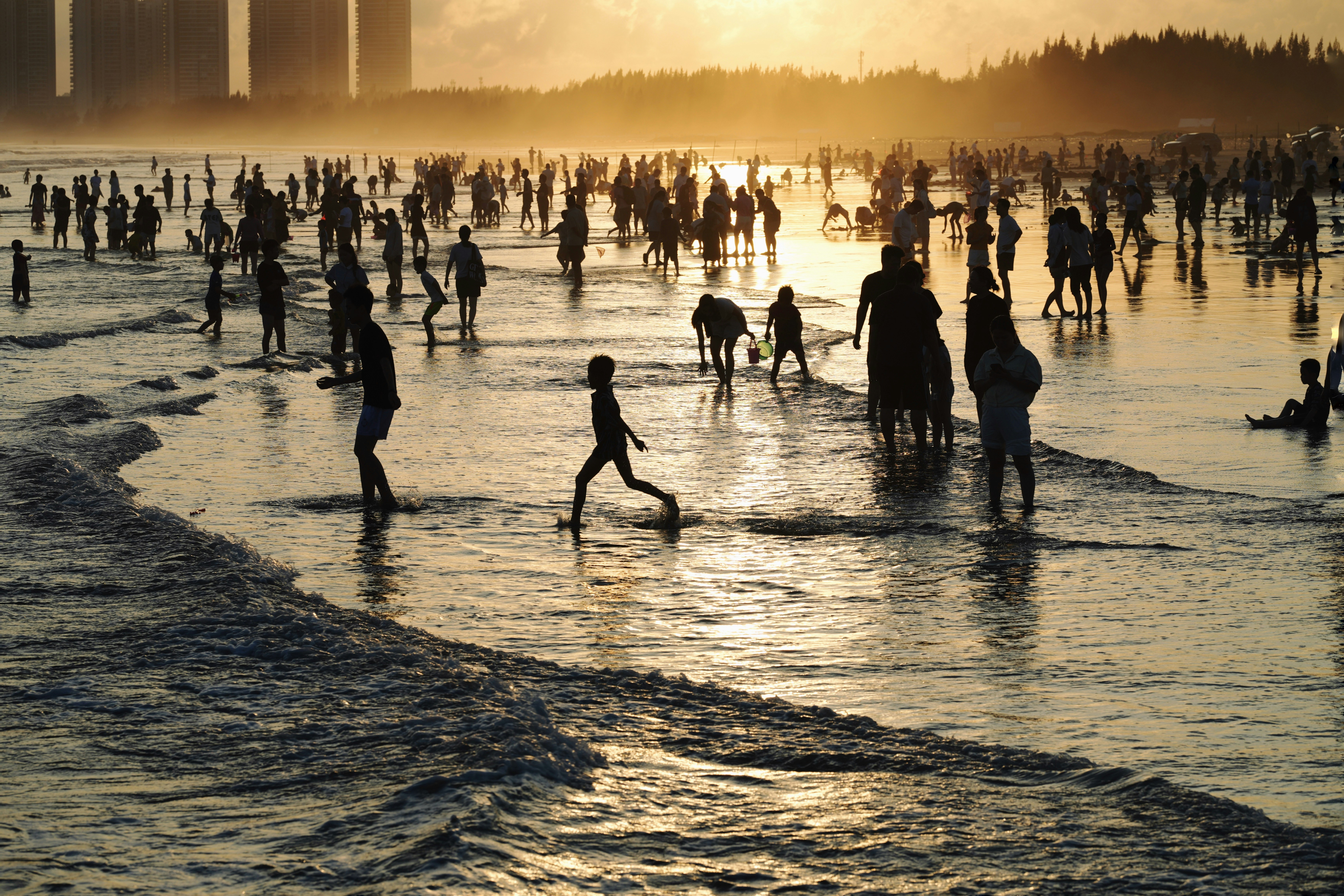Sunset Reverie: A Dance of Shadows and Waves