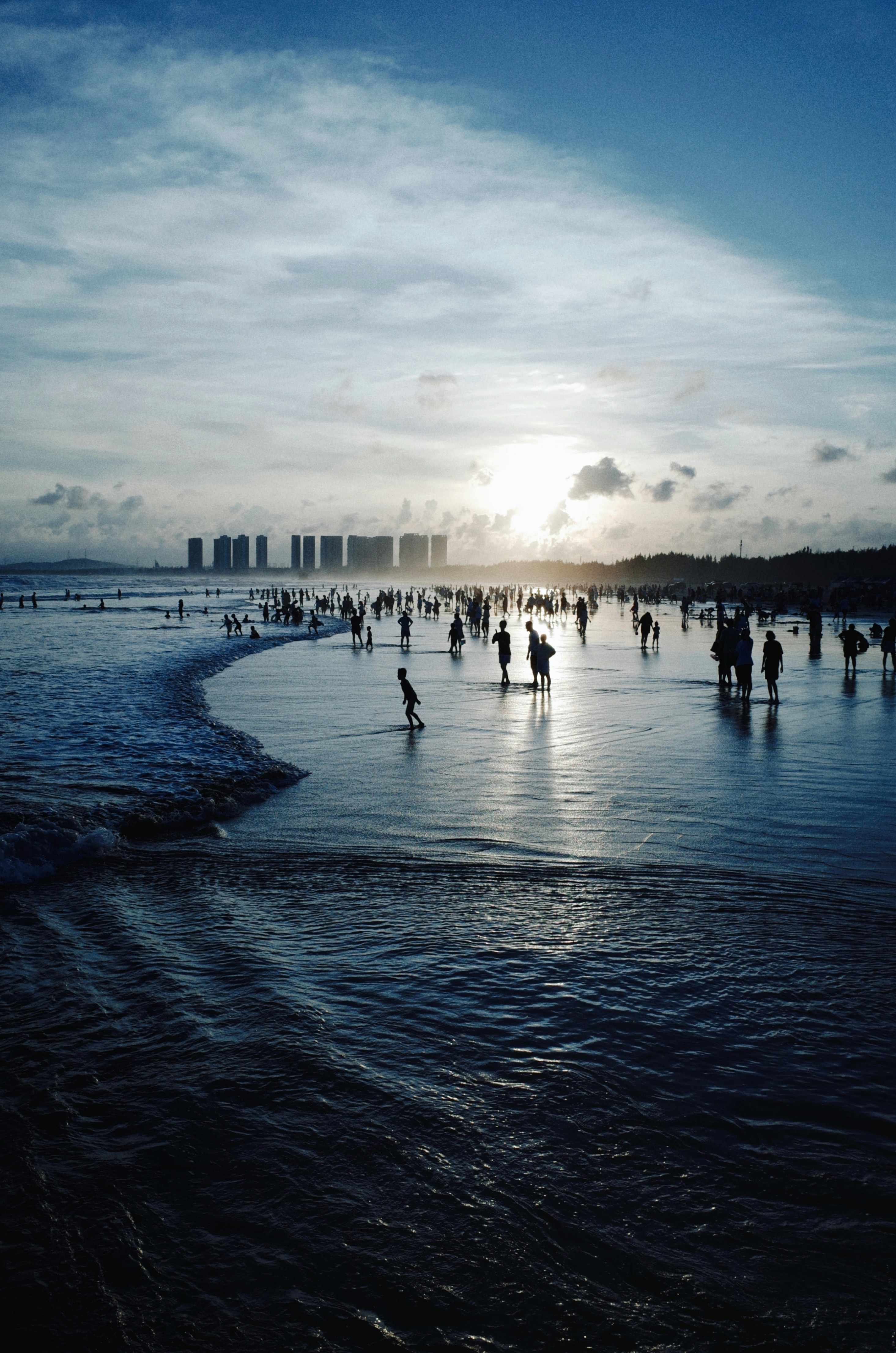 Silhouettes by the Shore: A Dance of Light and Life
