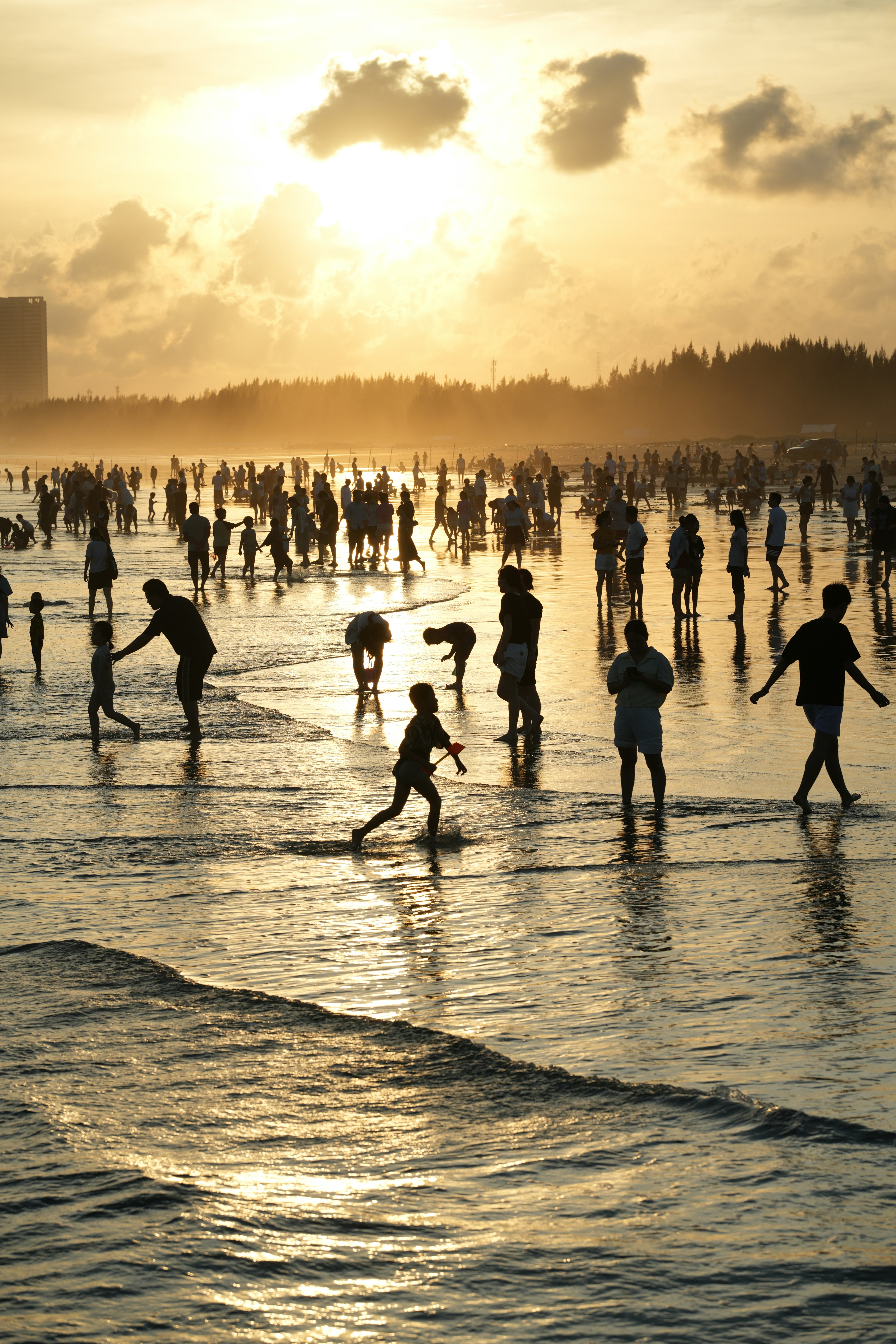 Evening Revelry by the Shoreline