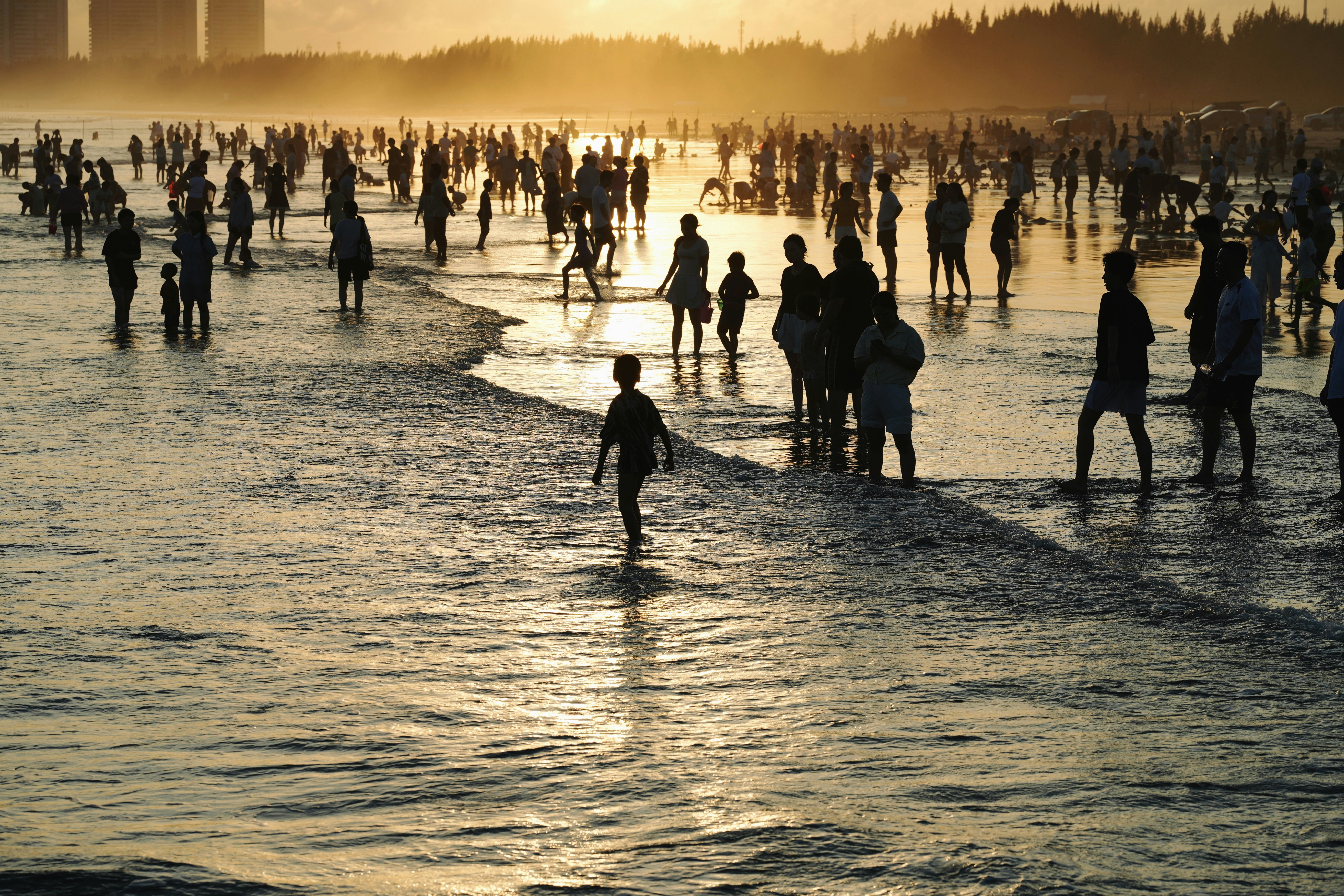 Echoes of Leisure: A Day at the Shore
