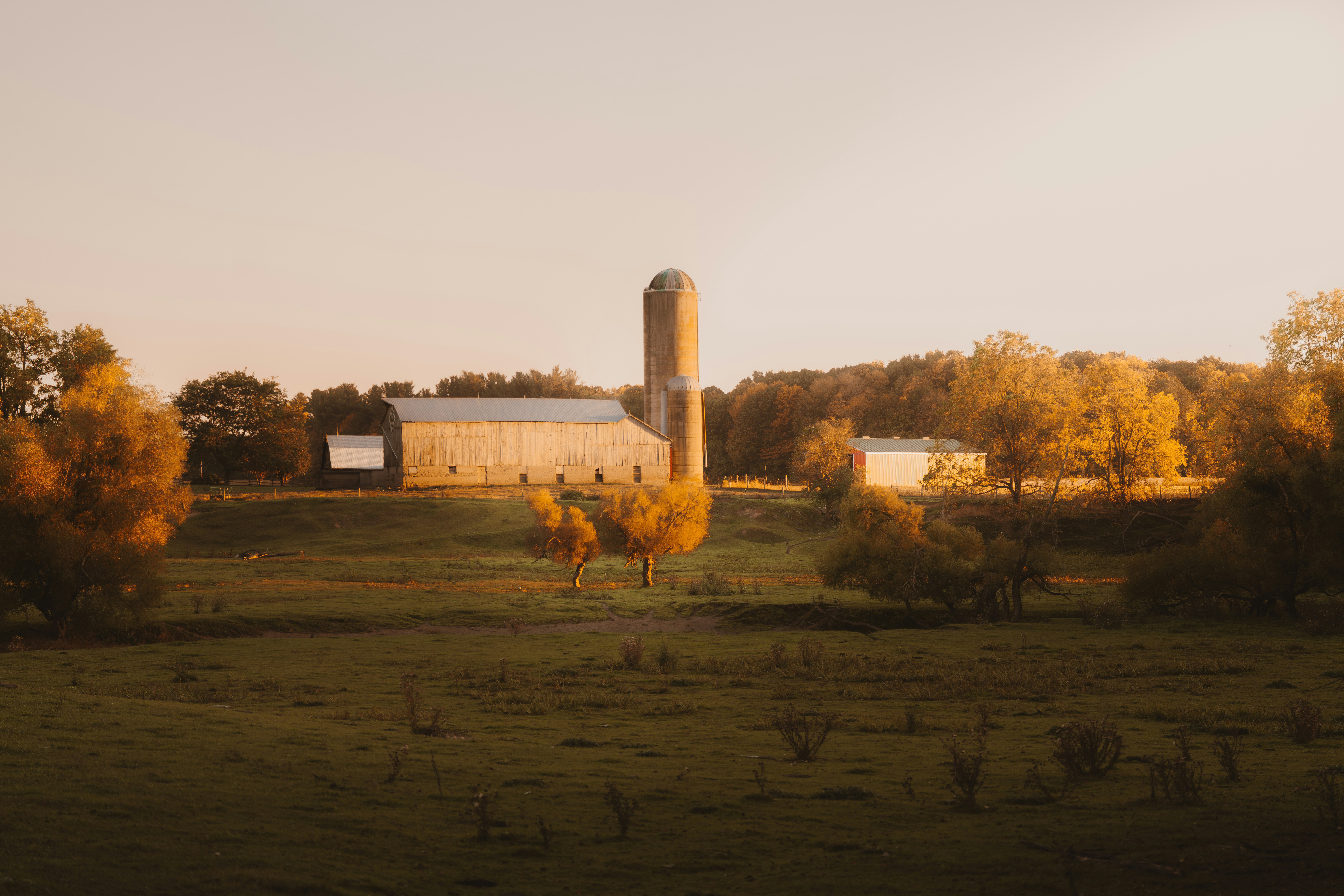 Harvest's Embrace: A Serene Farmstead at Dusk