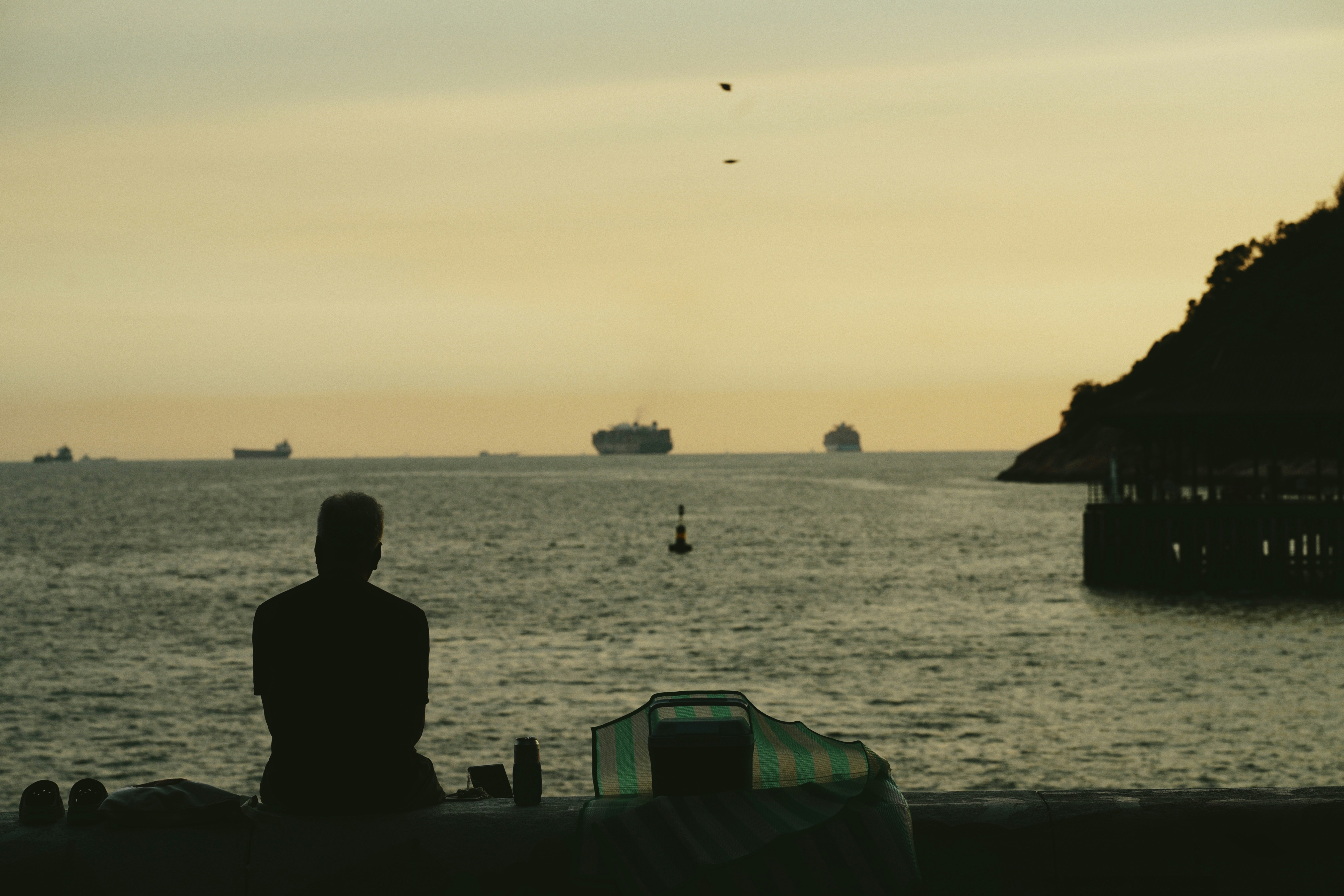 Dusk Silhouette by the Sea: A Quiet Moment with Freighters on the Horizon