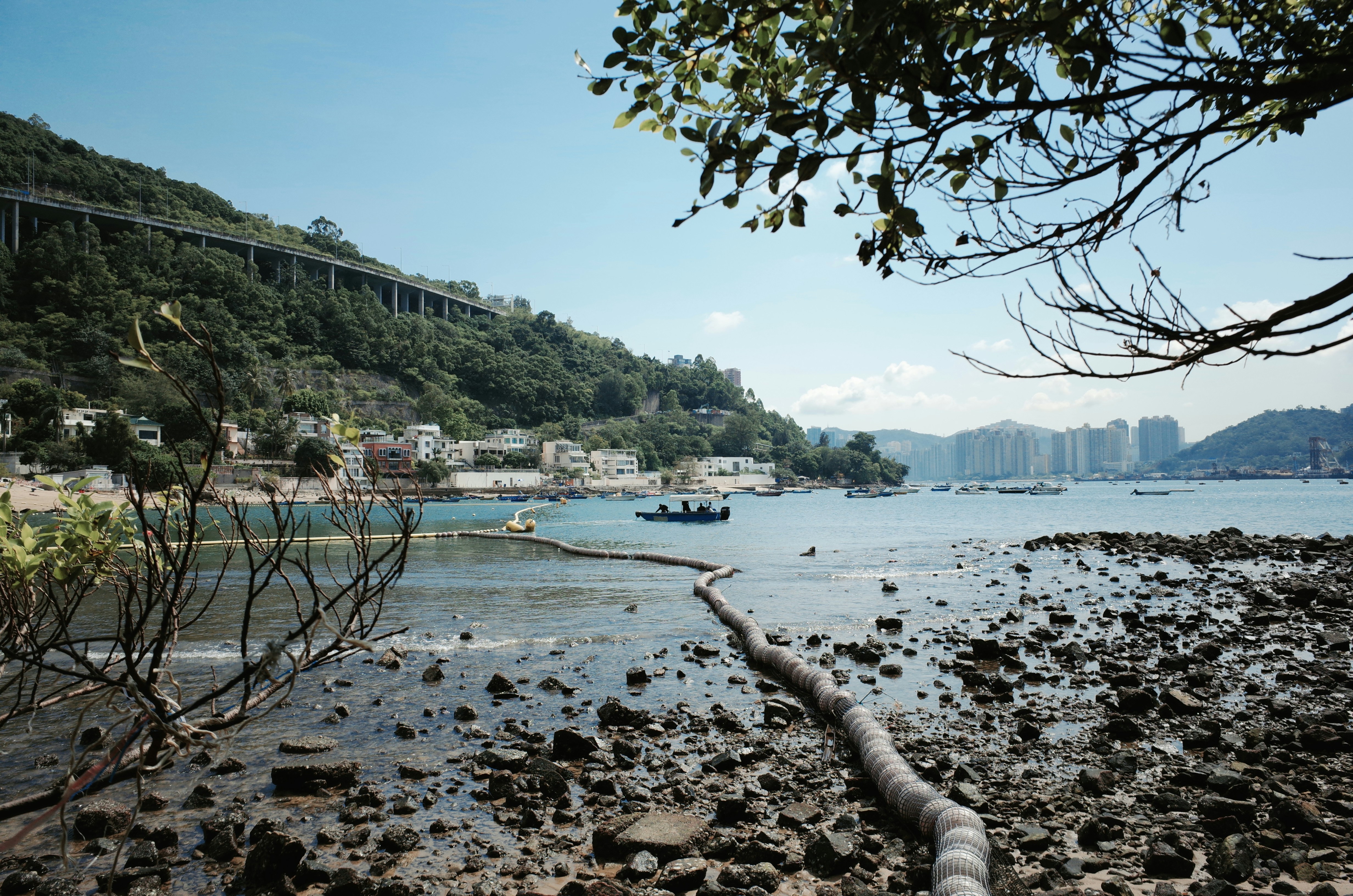 Harmony of Nature and Urban Life