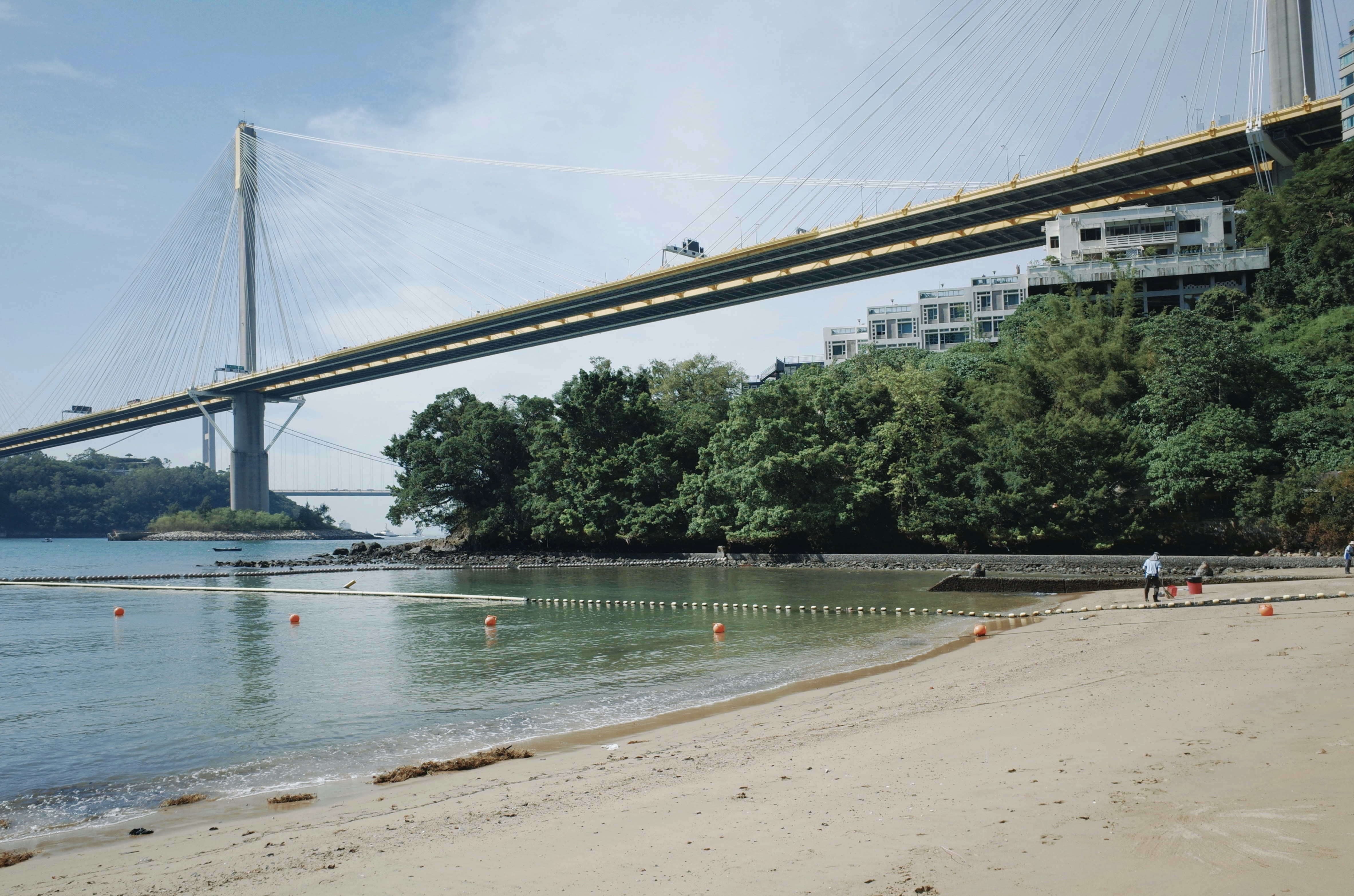 Under the Arching Span: A Tranquil Coastal Scene