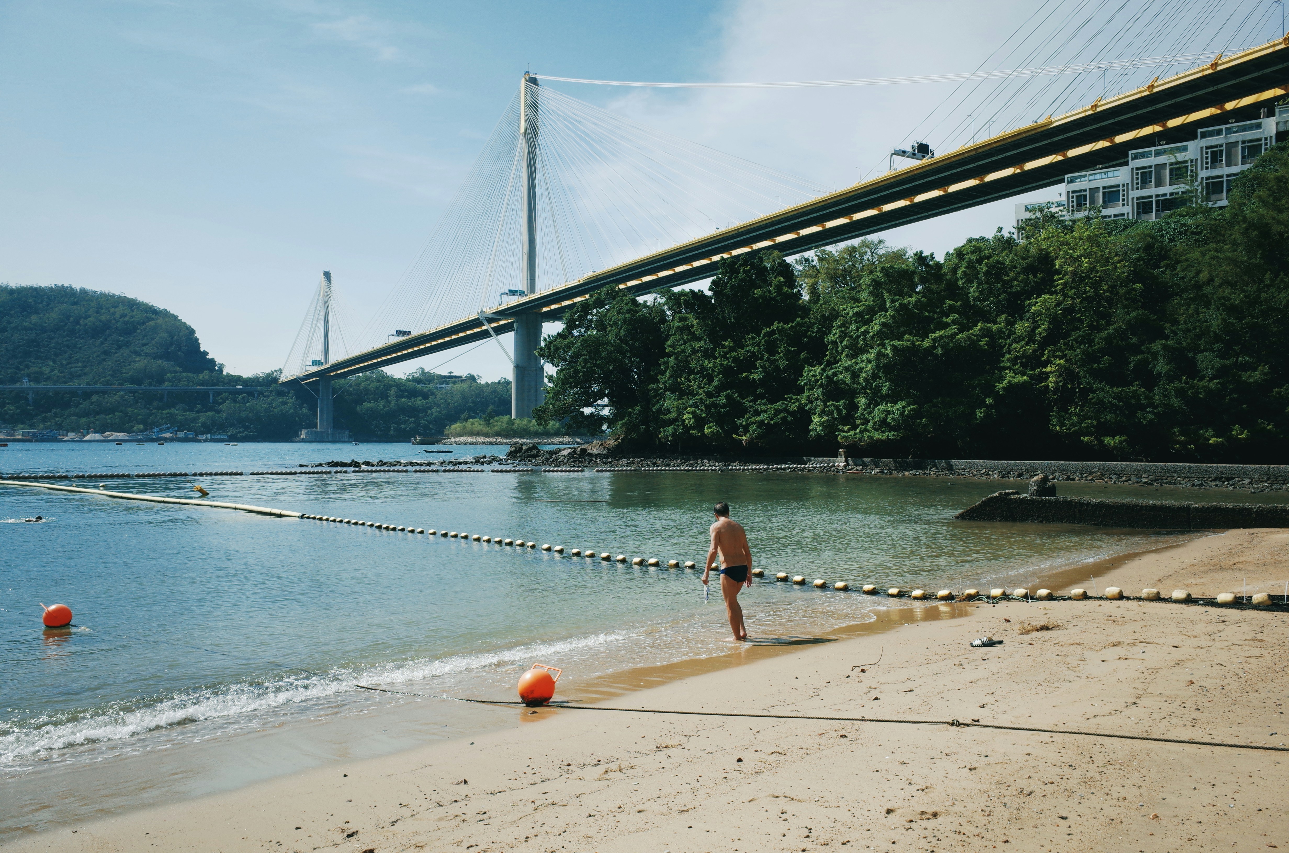 Bridging Nature and Urban Life