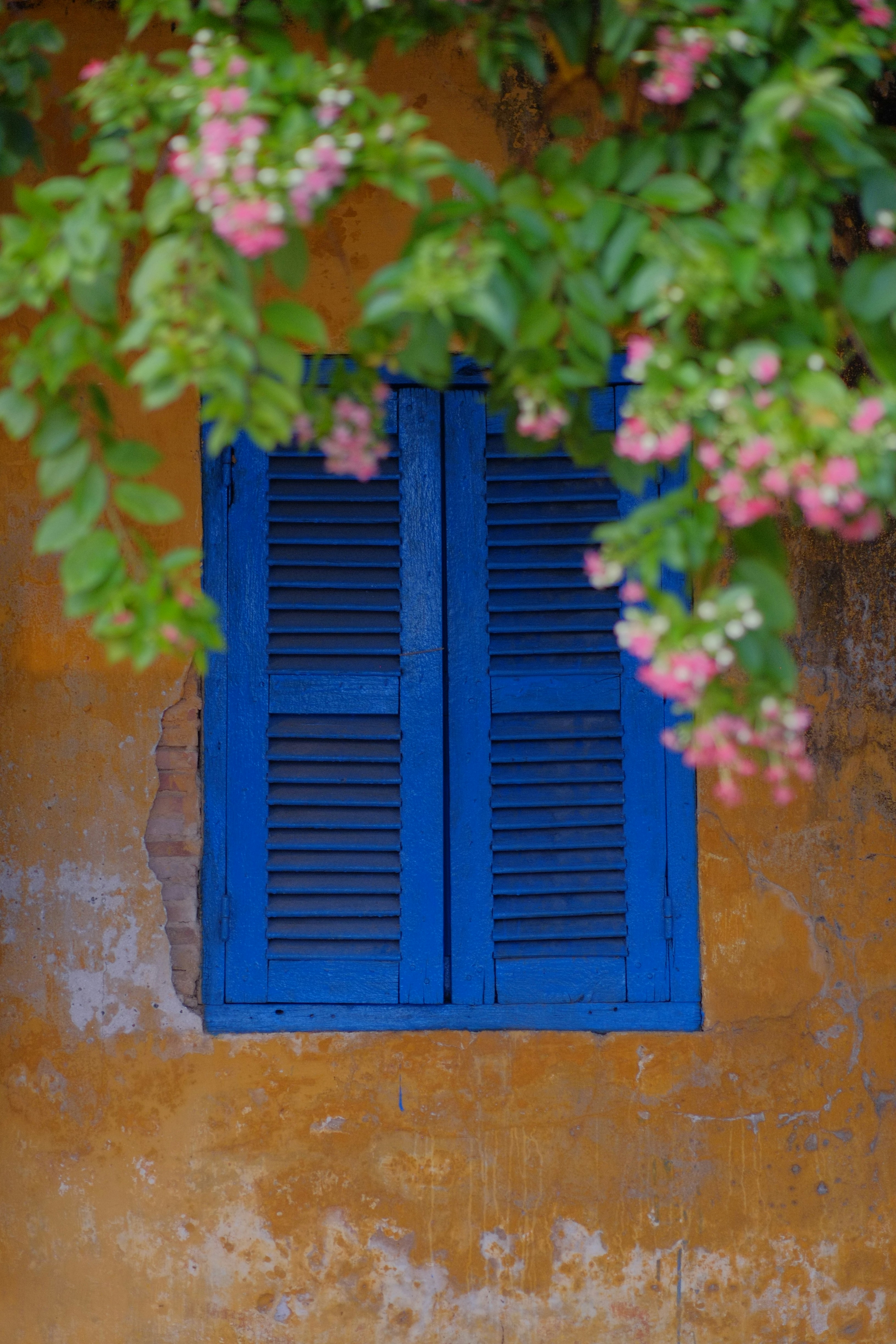 Whispers of Color: A Window to Tranquility