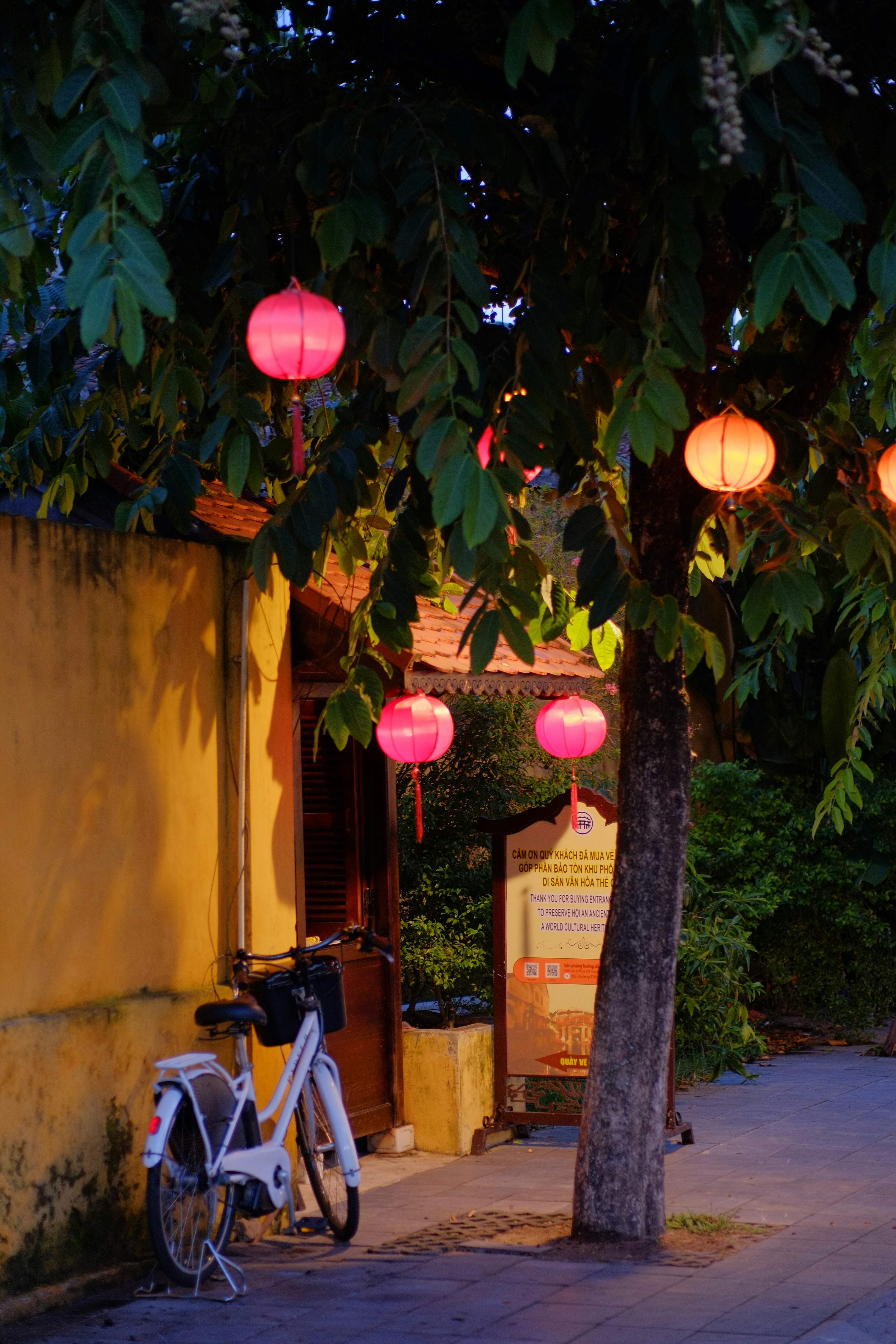 Whispers of Evening Glow in Hoi An