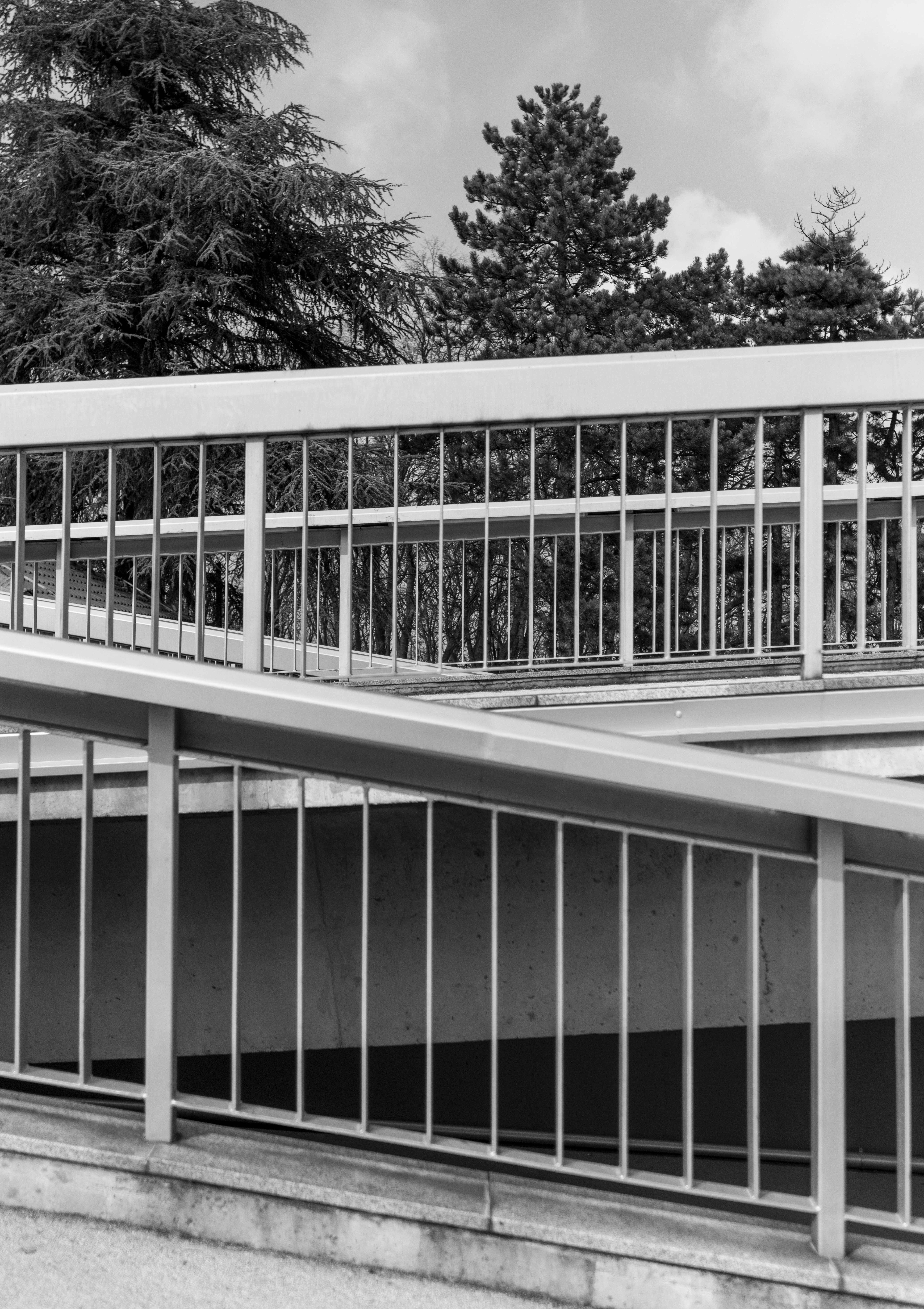 Metal railings and trees against a cloudy sky.