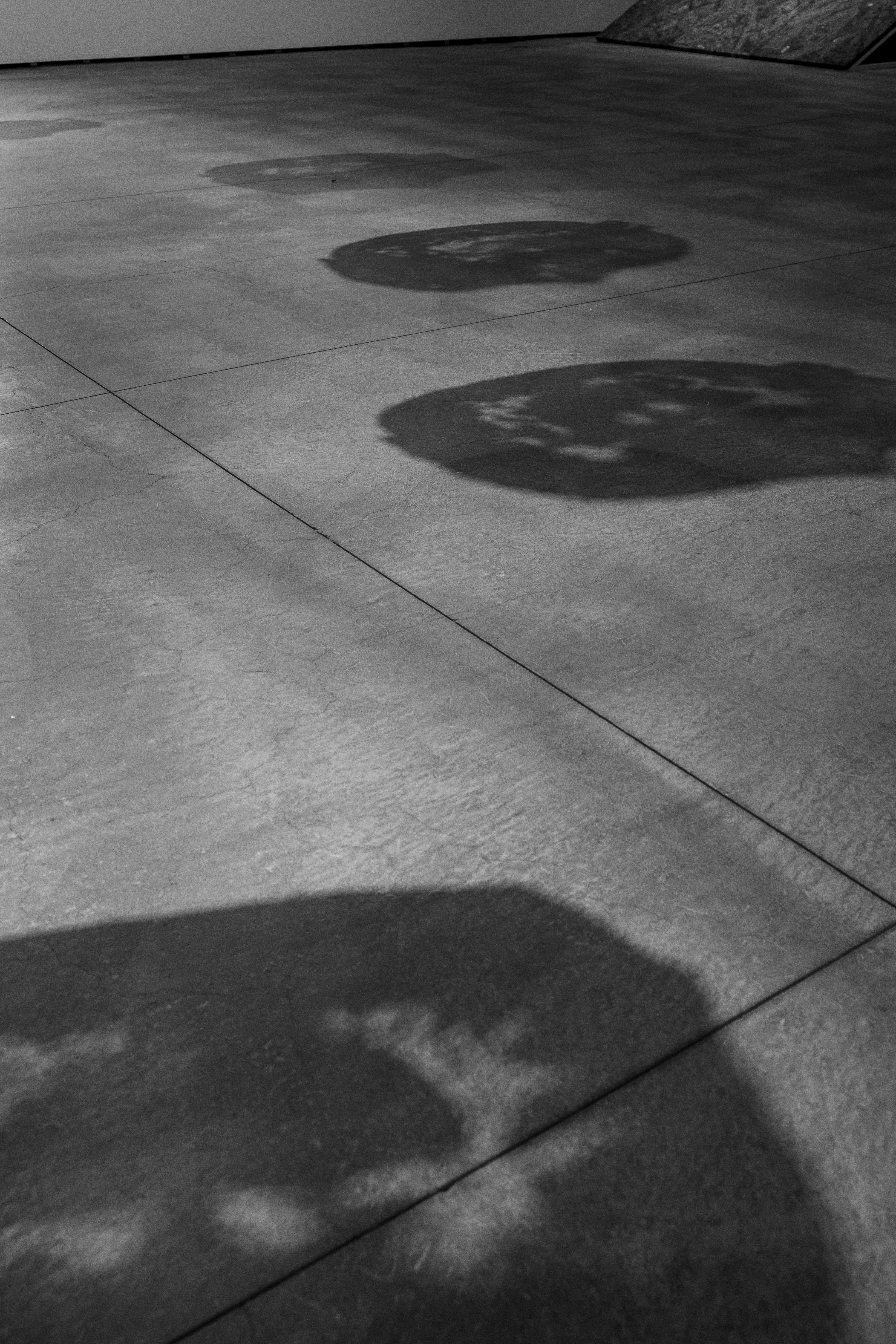 Shadow Pools on Concrete