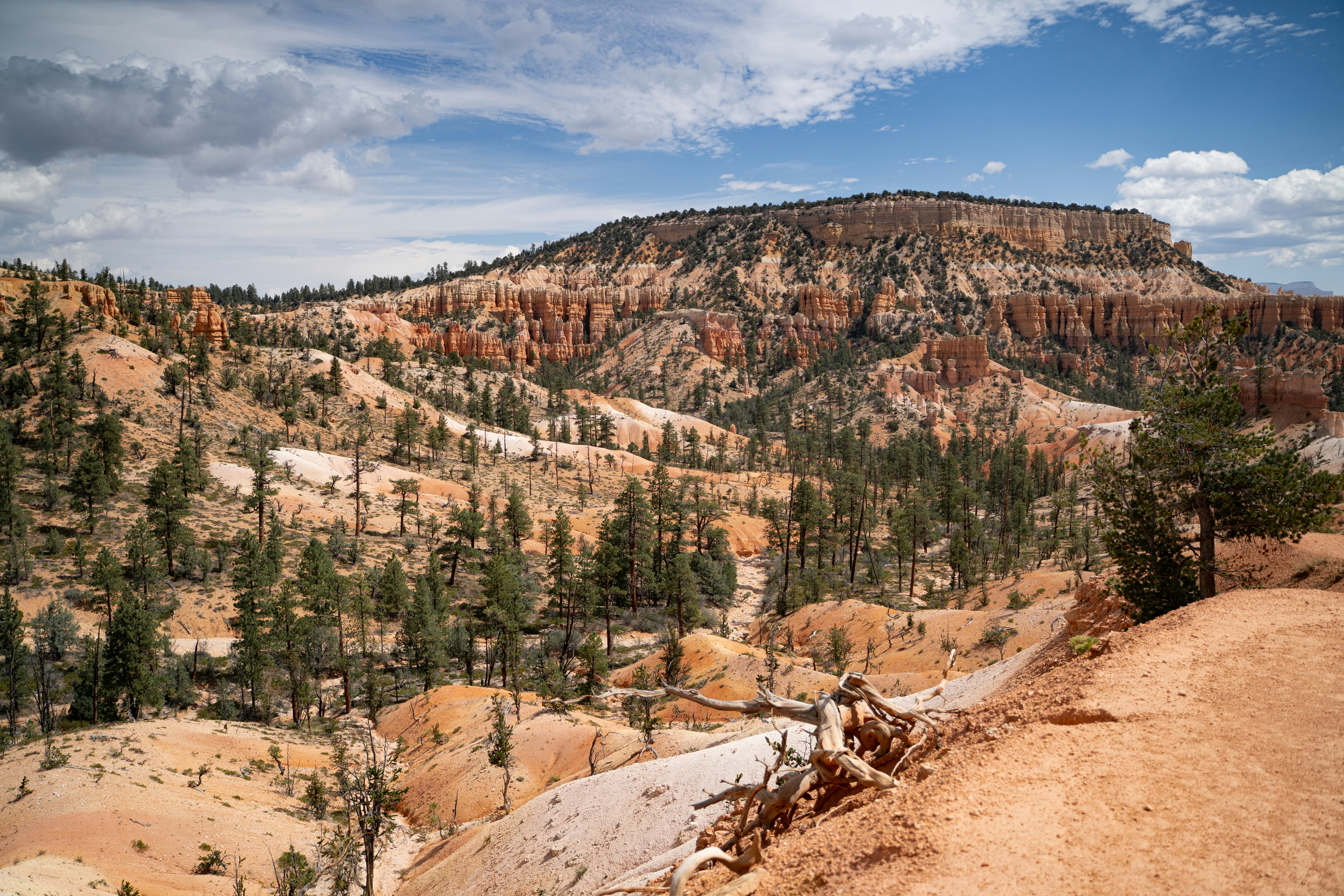 Whispers of the Canyon: A Geological Tapestry