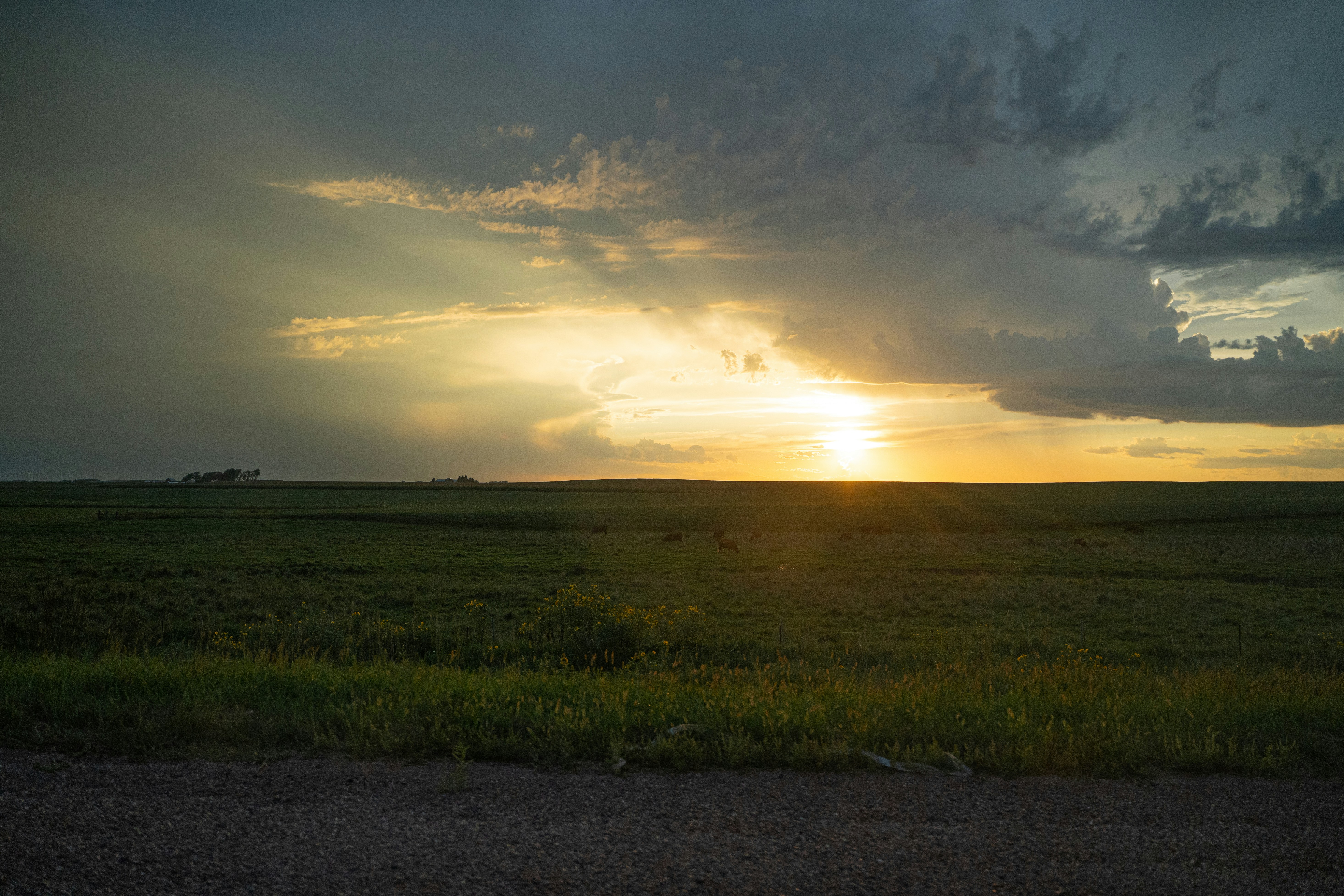 Whispers of Dusk Over Endless Fields