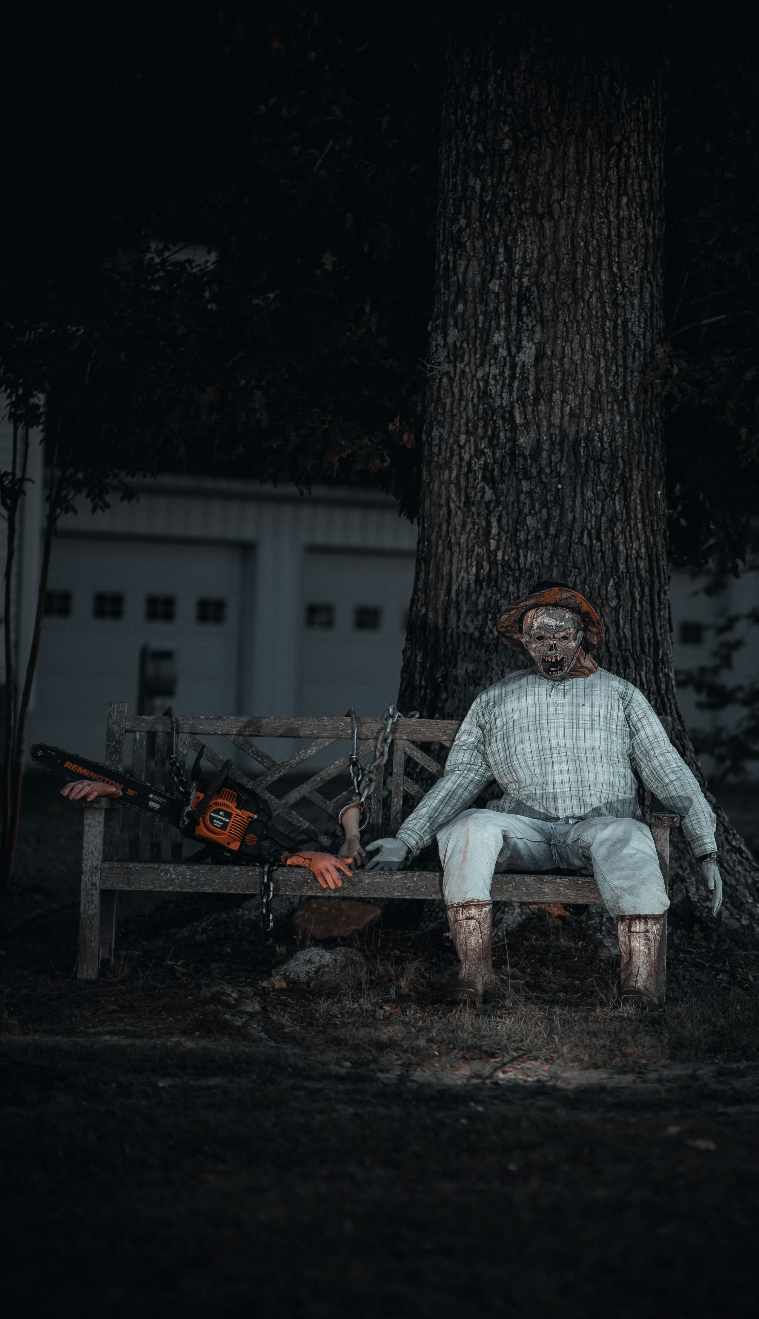 A Haunting Encounter on a Forgotten Bench