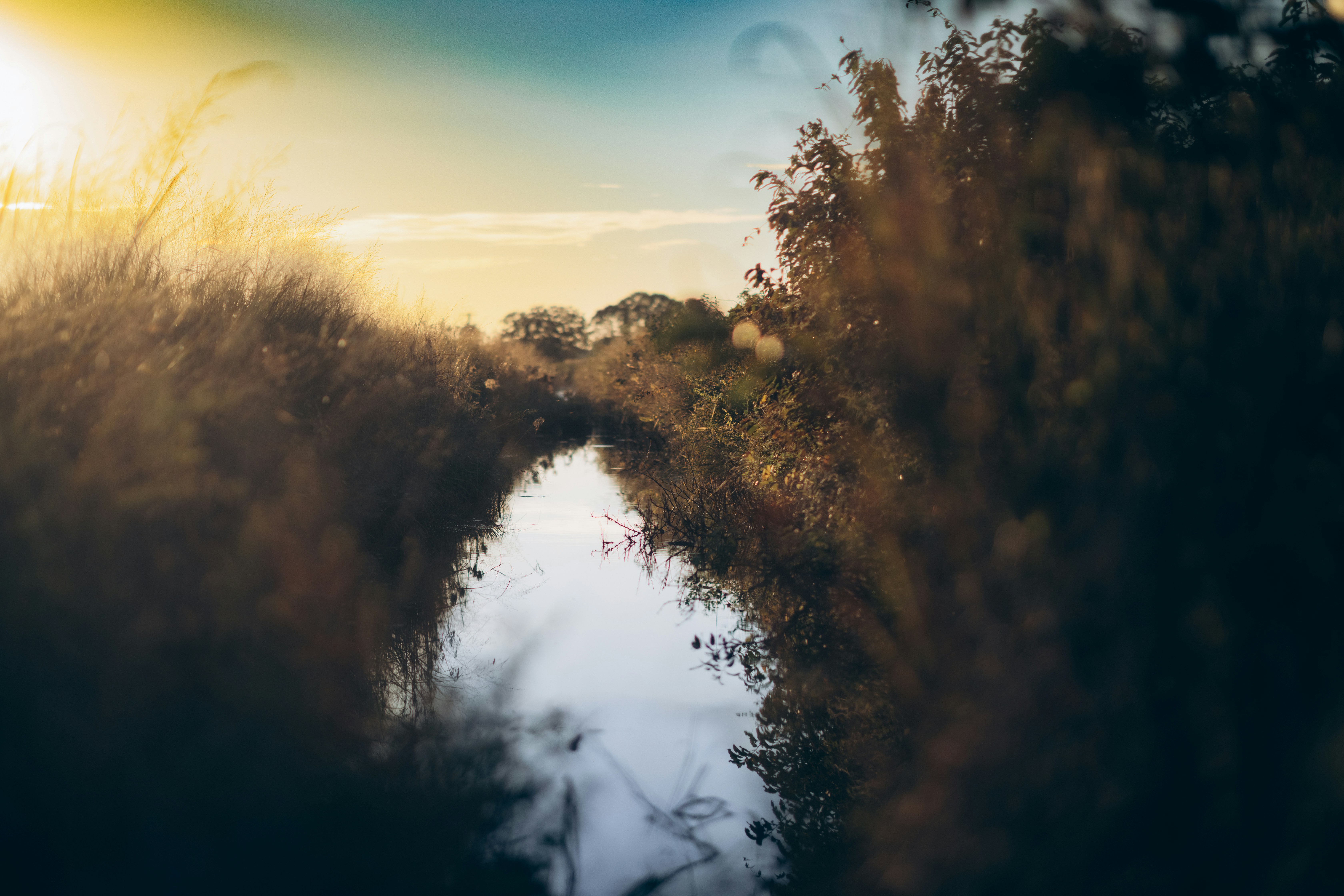 Reflections of Tranquility: A Serene Waterway