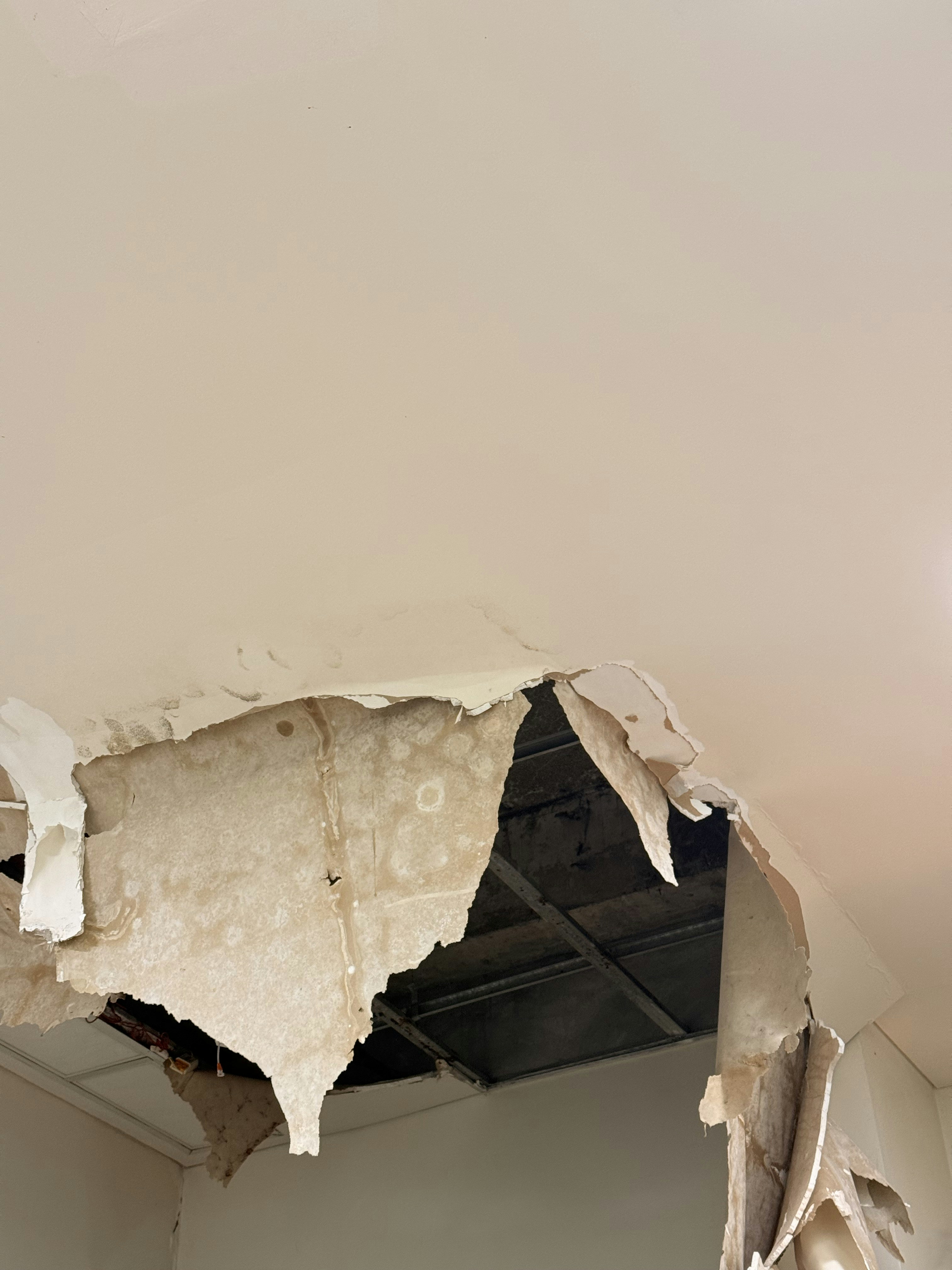 ethan (@andallthings) | Unsplash 사진 커뮤니티