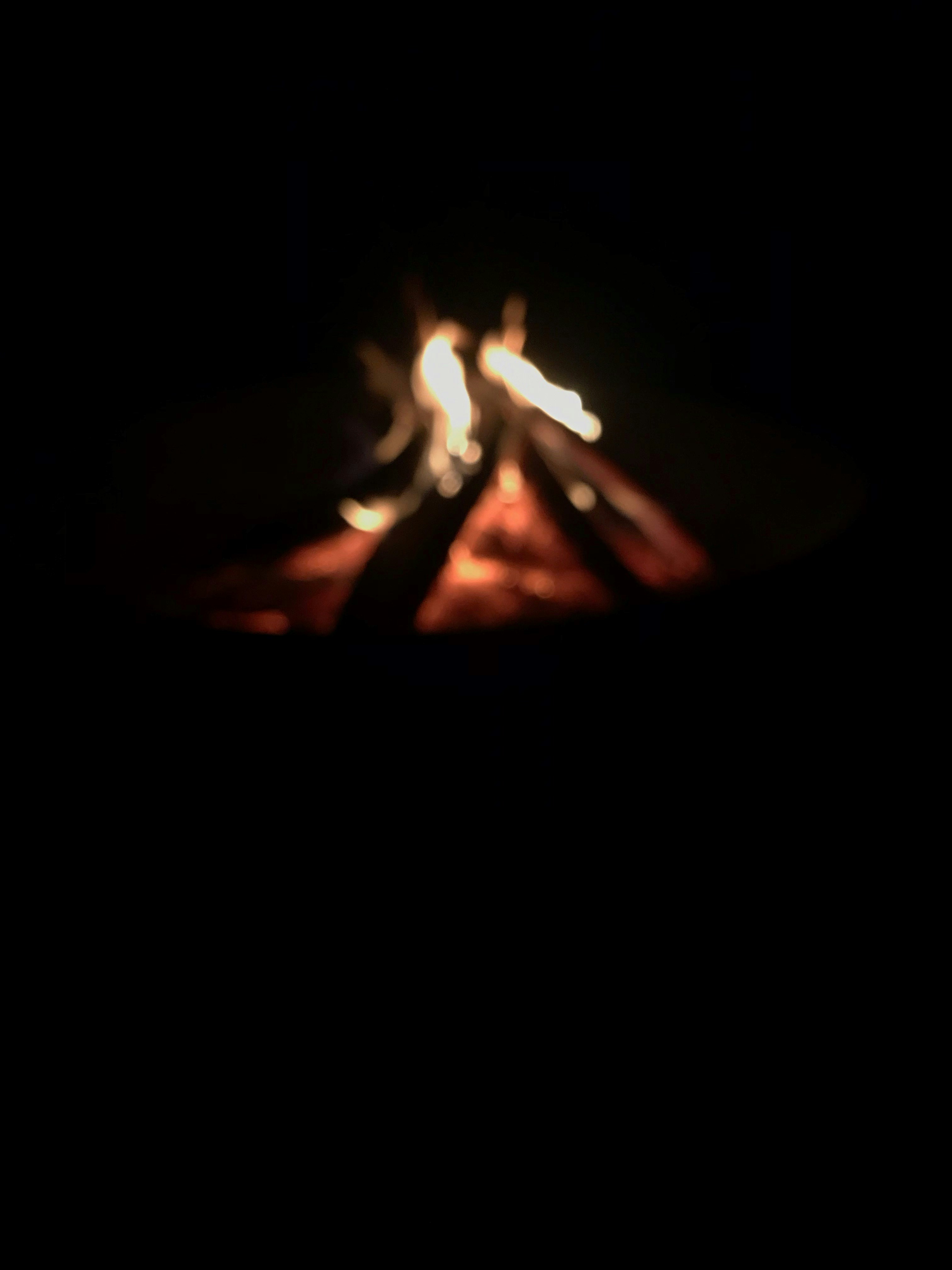Blazing Central Ember: A Quiet Campfire Under Nightfall