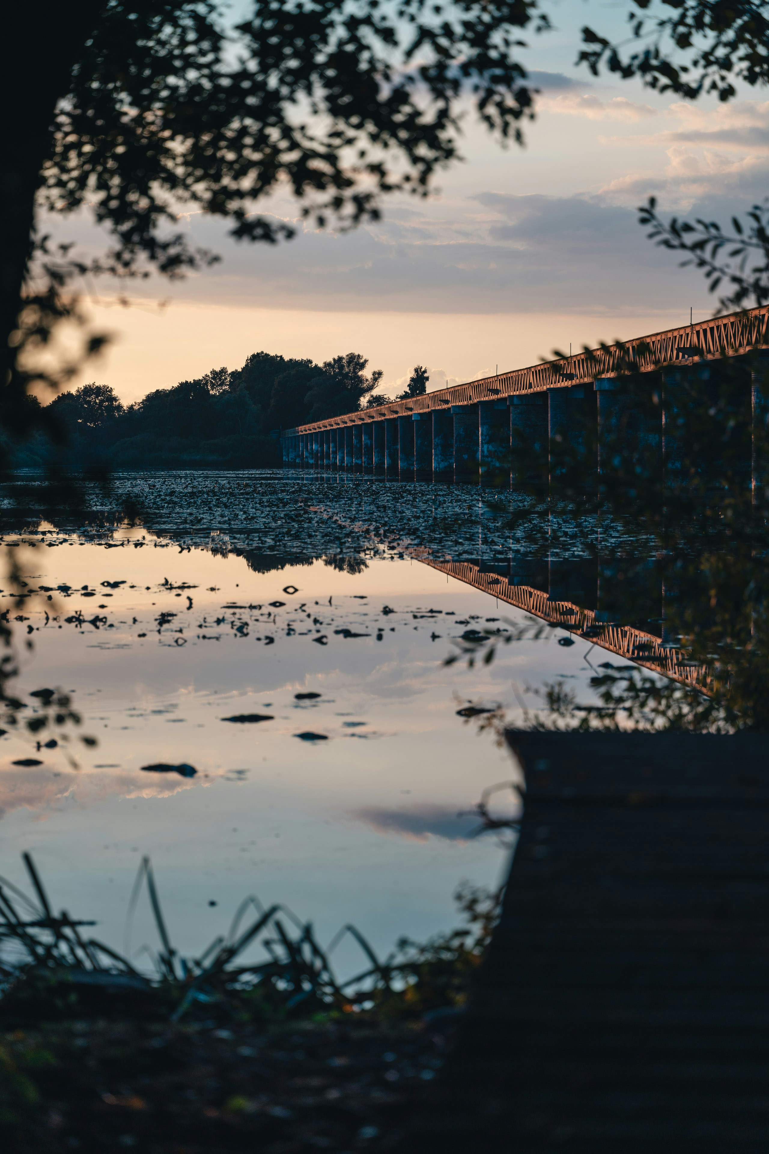 Reflections of Tranquility: A Bridge Over Still Waters