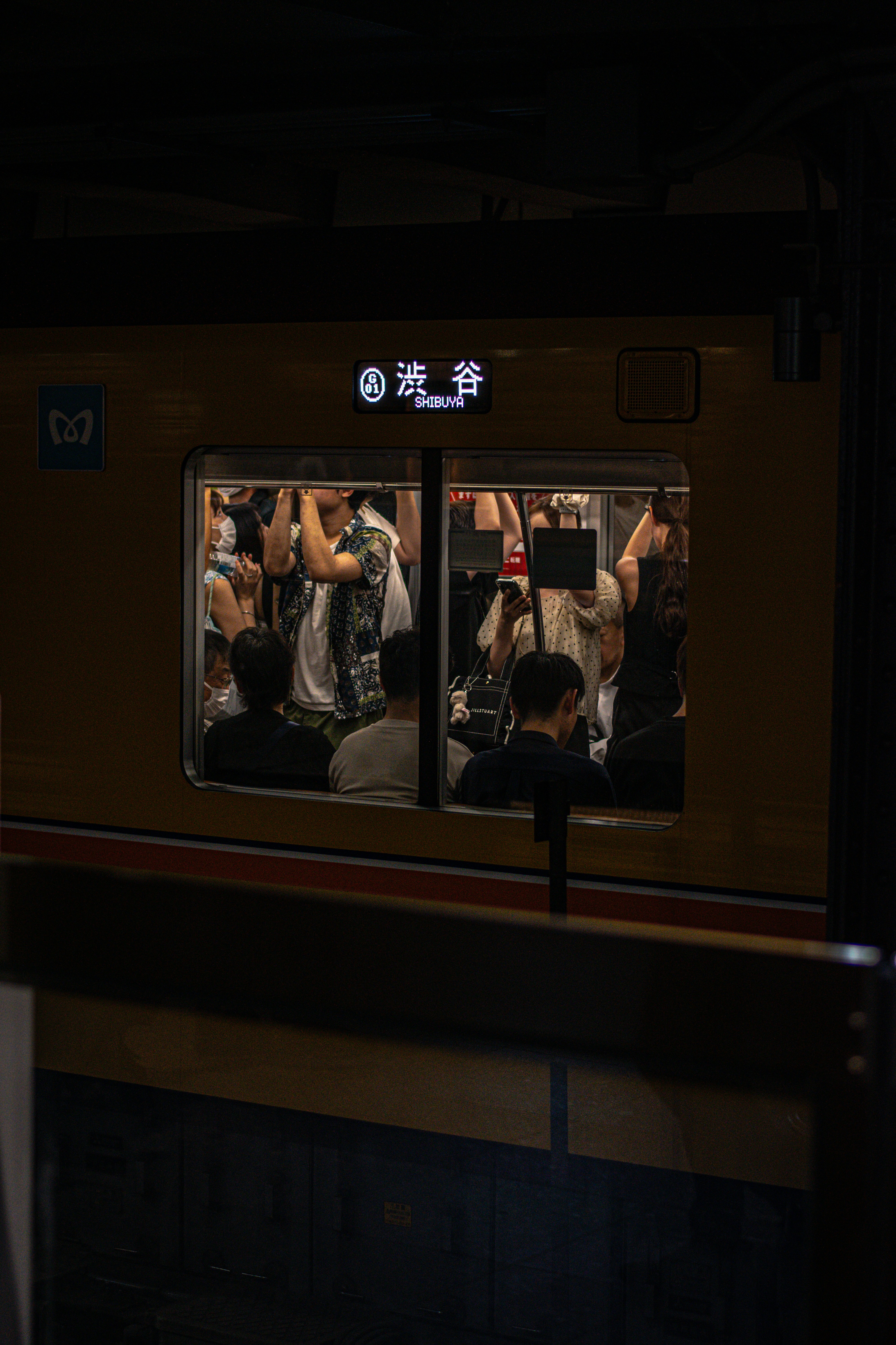 The Pulse of Shibuya: A Glimpse Inside