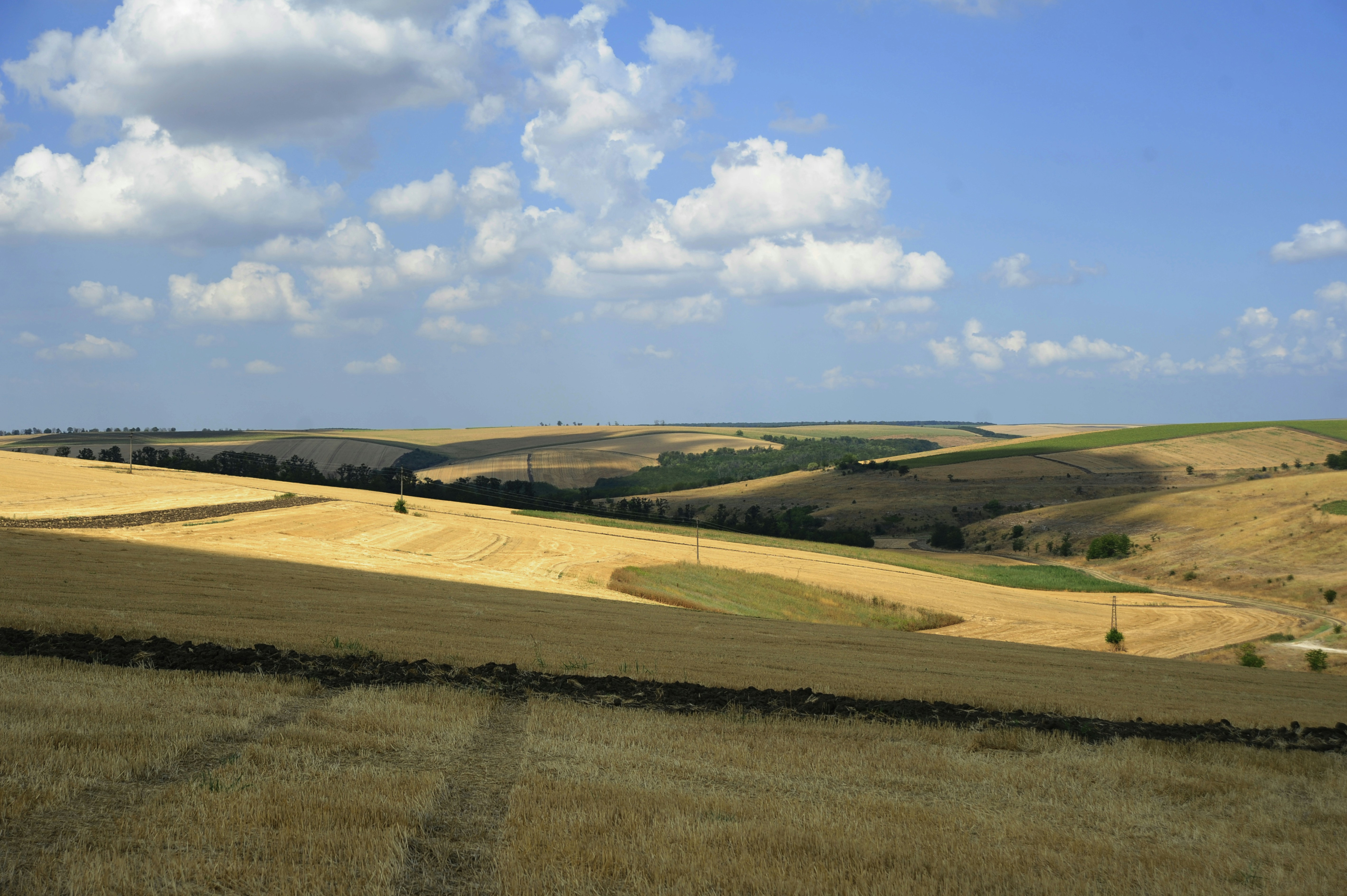 Expansive fields of golden wheat undulate under a bright blue sky, with distant green hills creating a serene rural landscape.