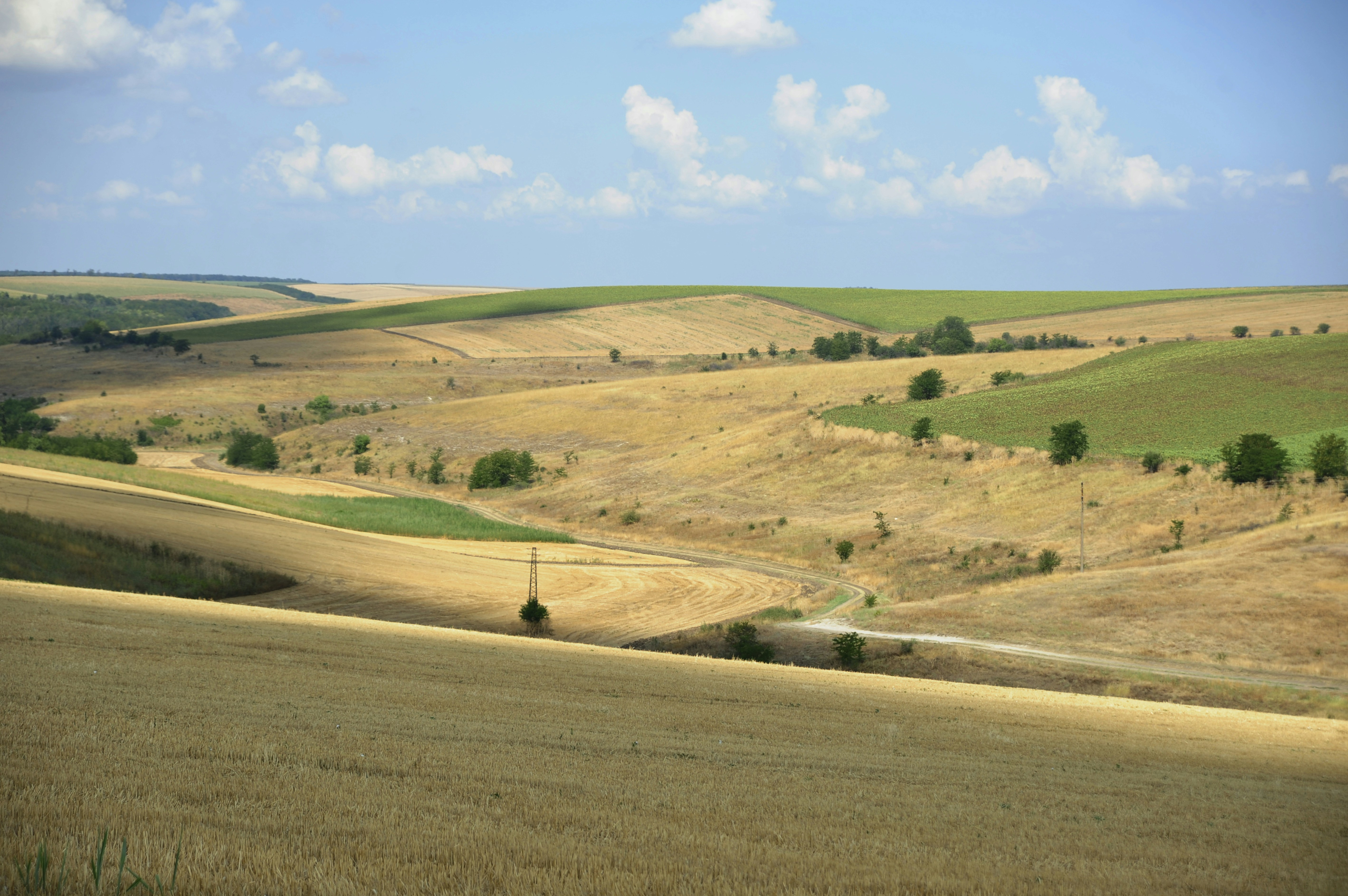 Varnentsi is an agricultural village in the region of Silistra, Bulgaria. Views on our walk around the village in late a September. Rolling hills and wide landscapes. | Rolling hills with golden fields under a blue sky