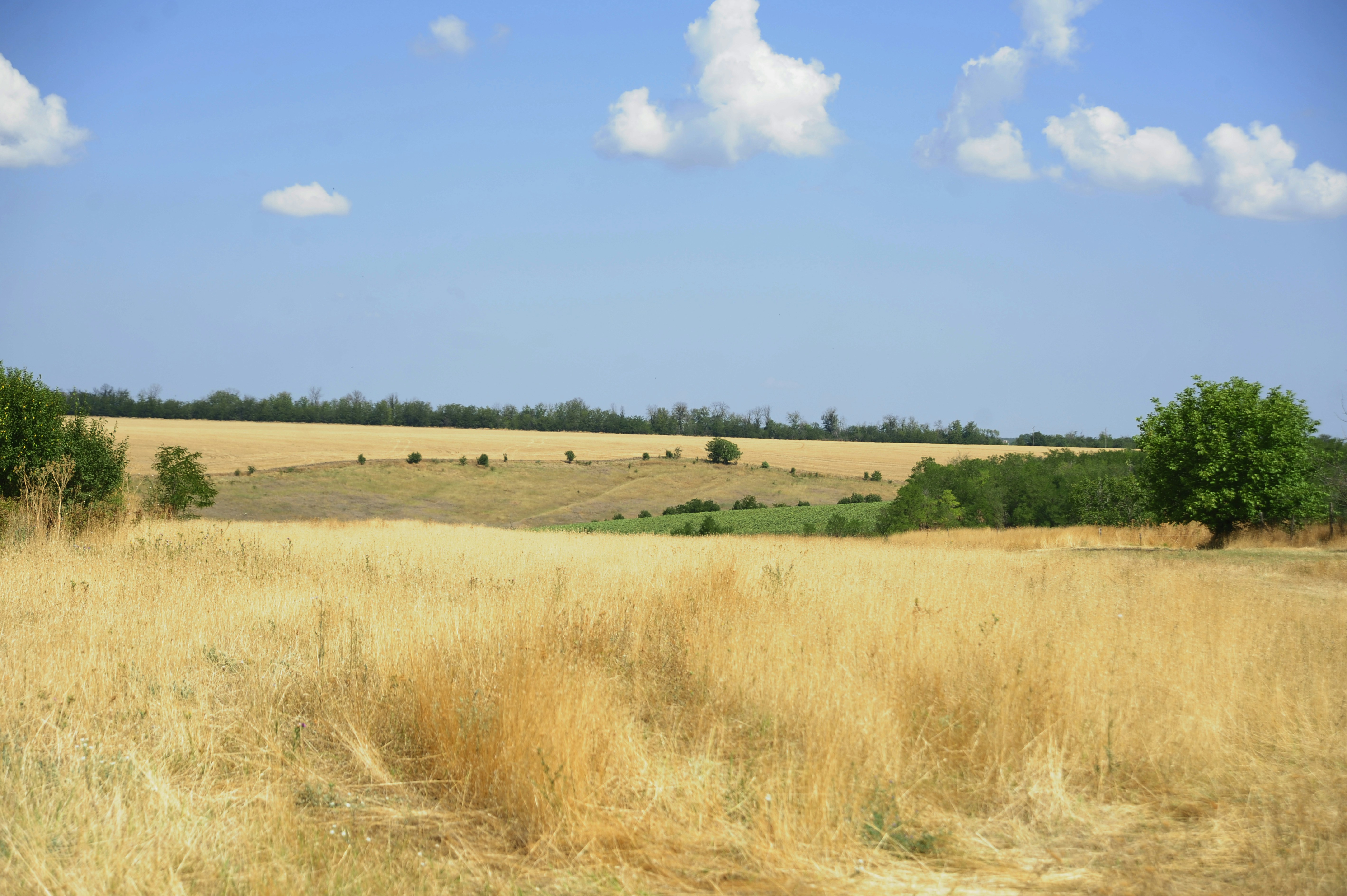 Golden fields stretch across the landscape, meeting a lush green area under a clear blue sky dotted with fluffy clouds.