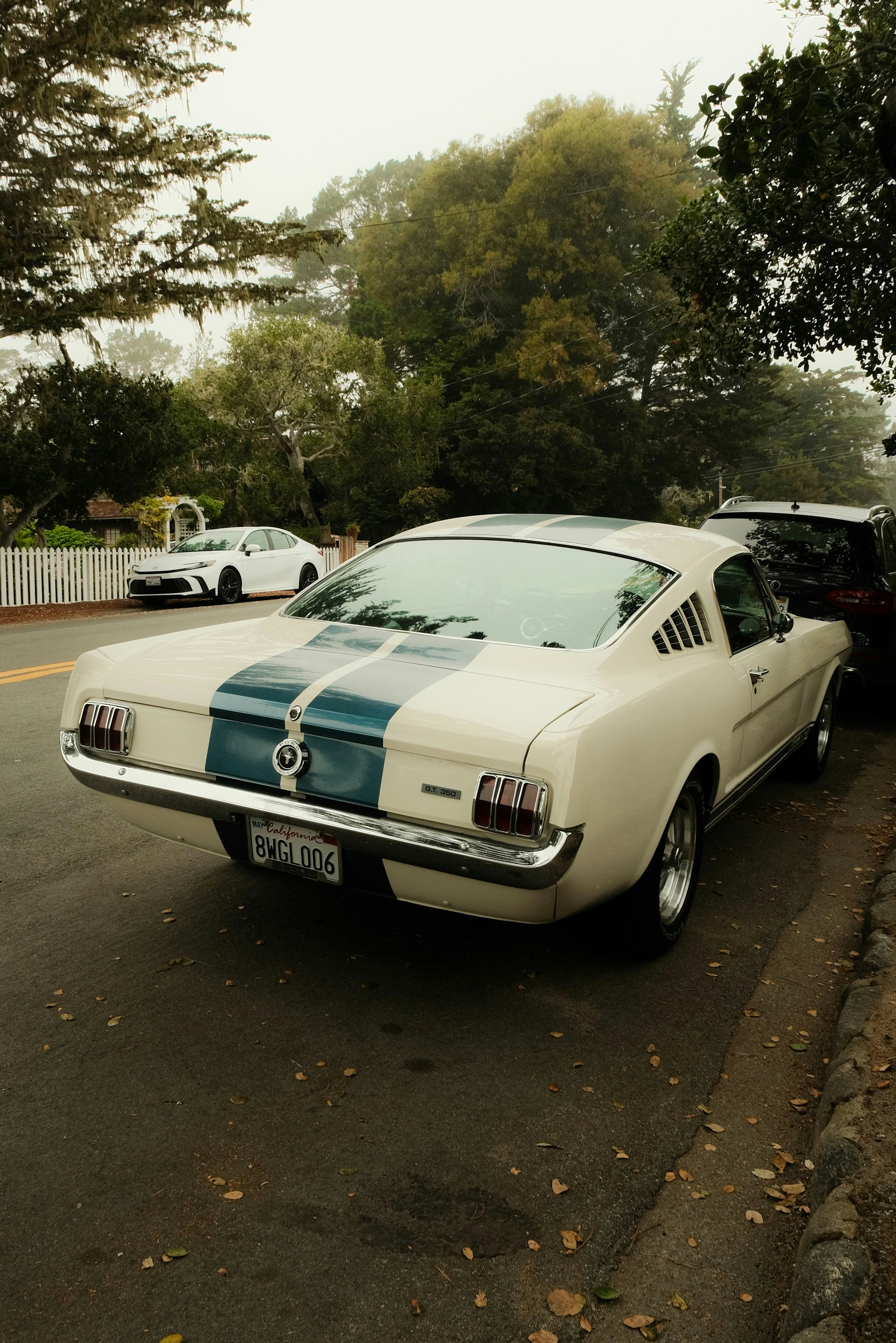 Classic Elegance: The Mustang's Timeless Charm
