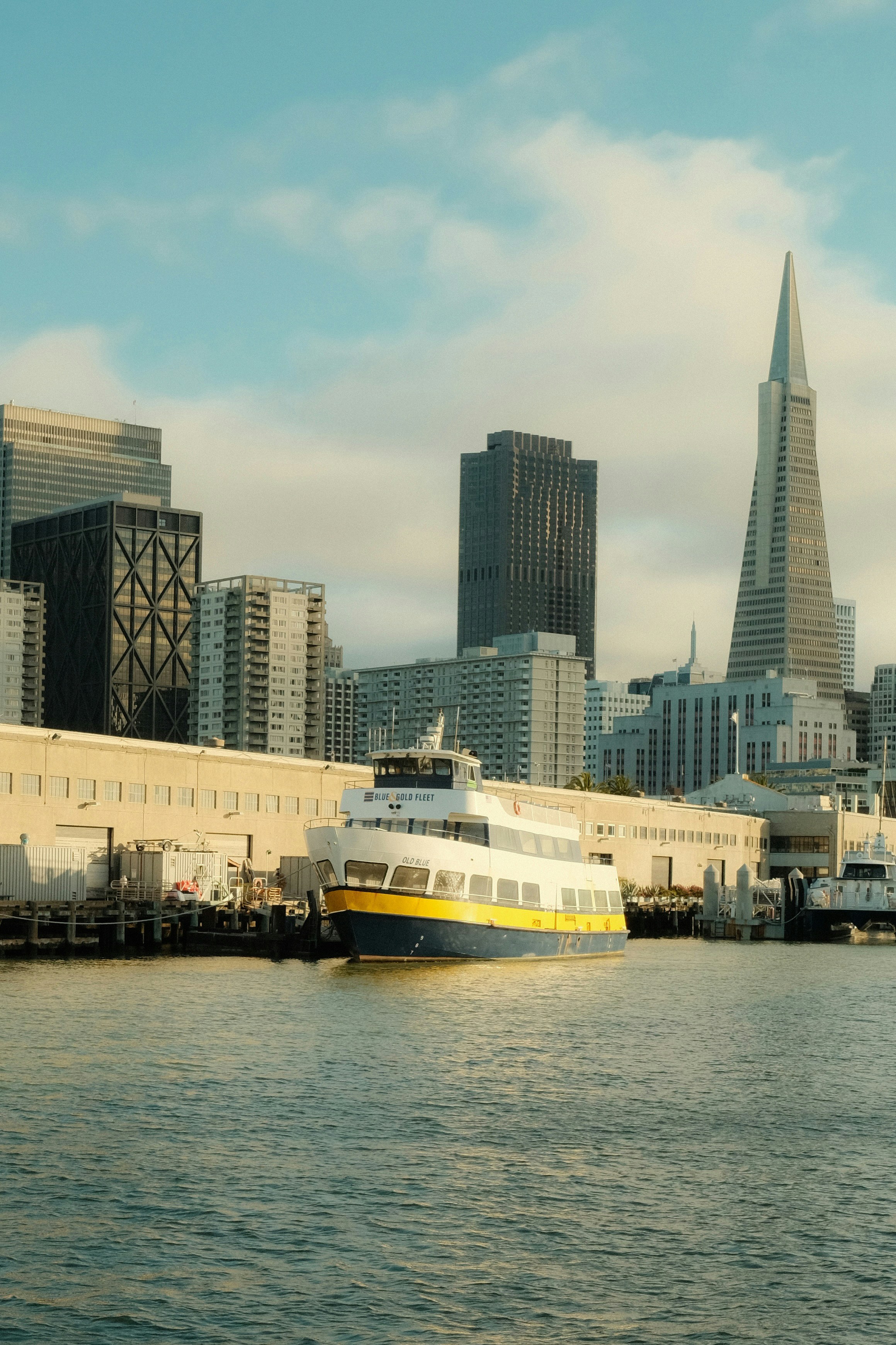 Urban Reflections: The City by the Bay