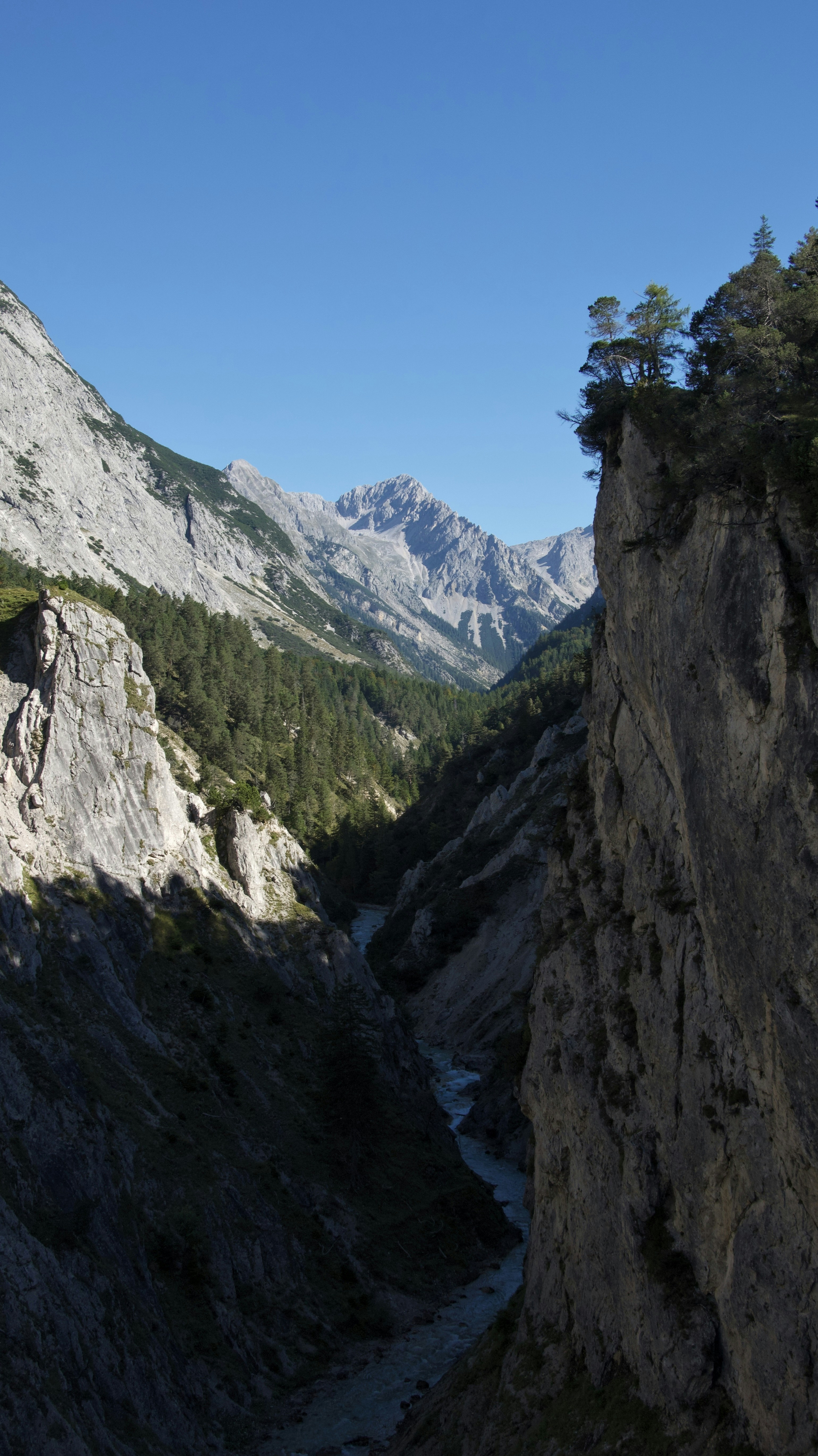 A dramatic canyon framed by towering cliffs and lush pine trees, leading towards distant snow-capped peaks under a clear blue sky.
