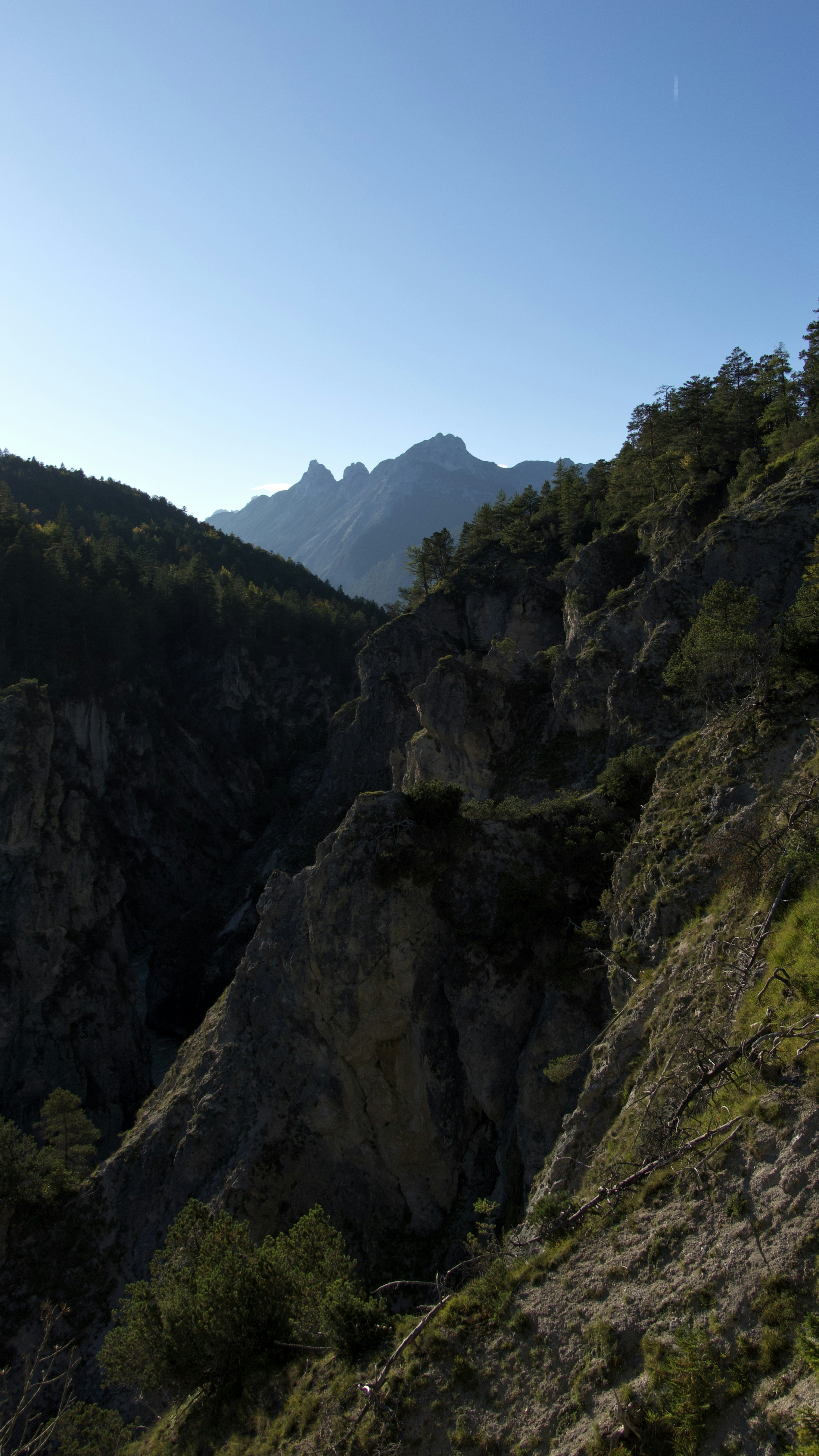 Rocky mountain landscape with pine trees under clear sky