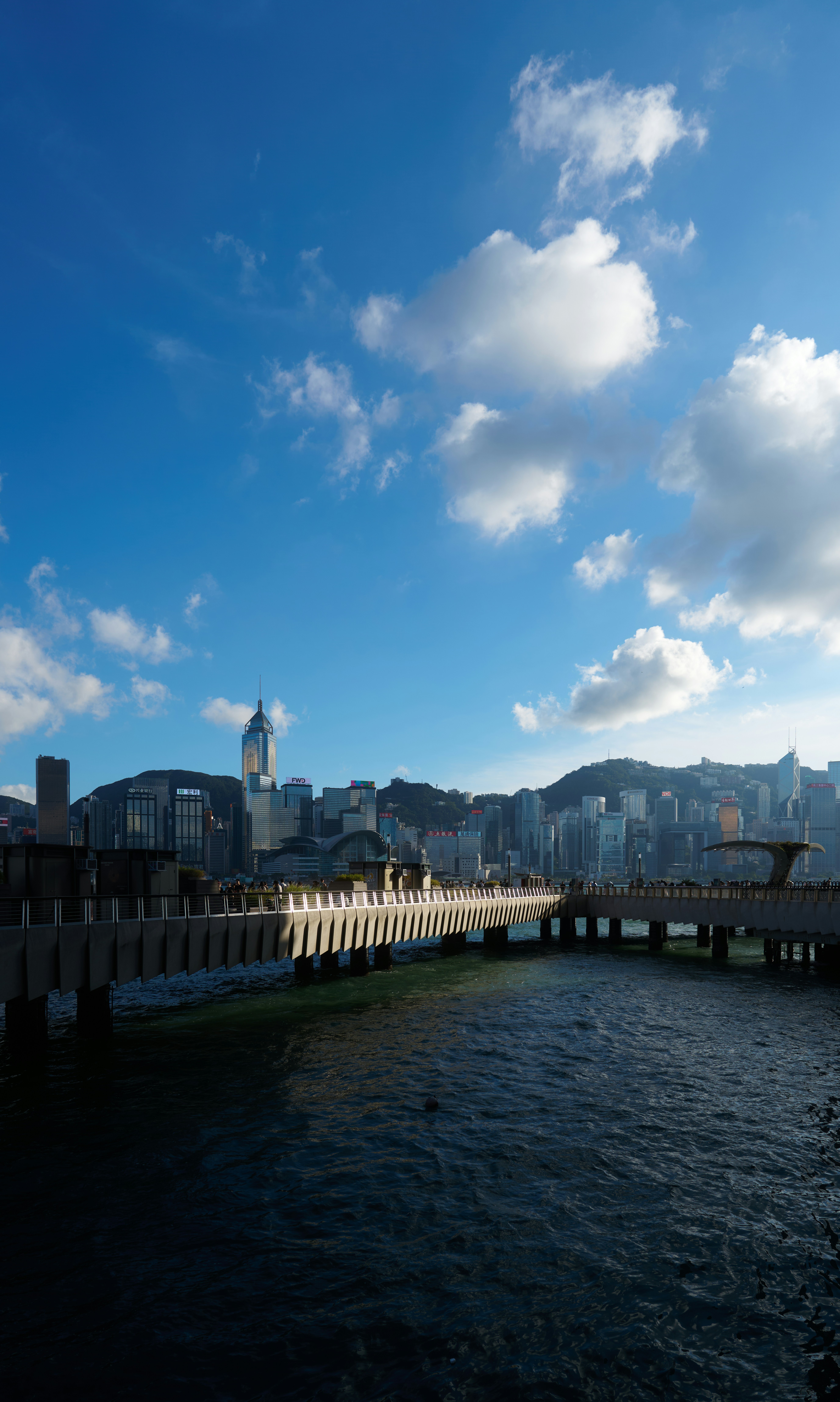 Harbor's Embrace: A City Meets the Sea