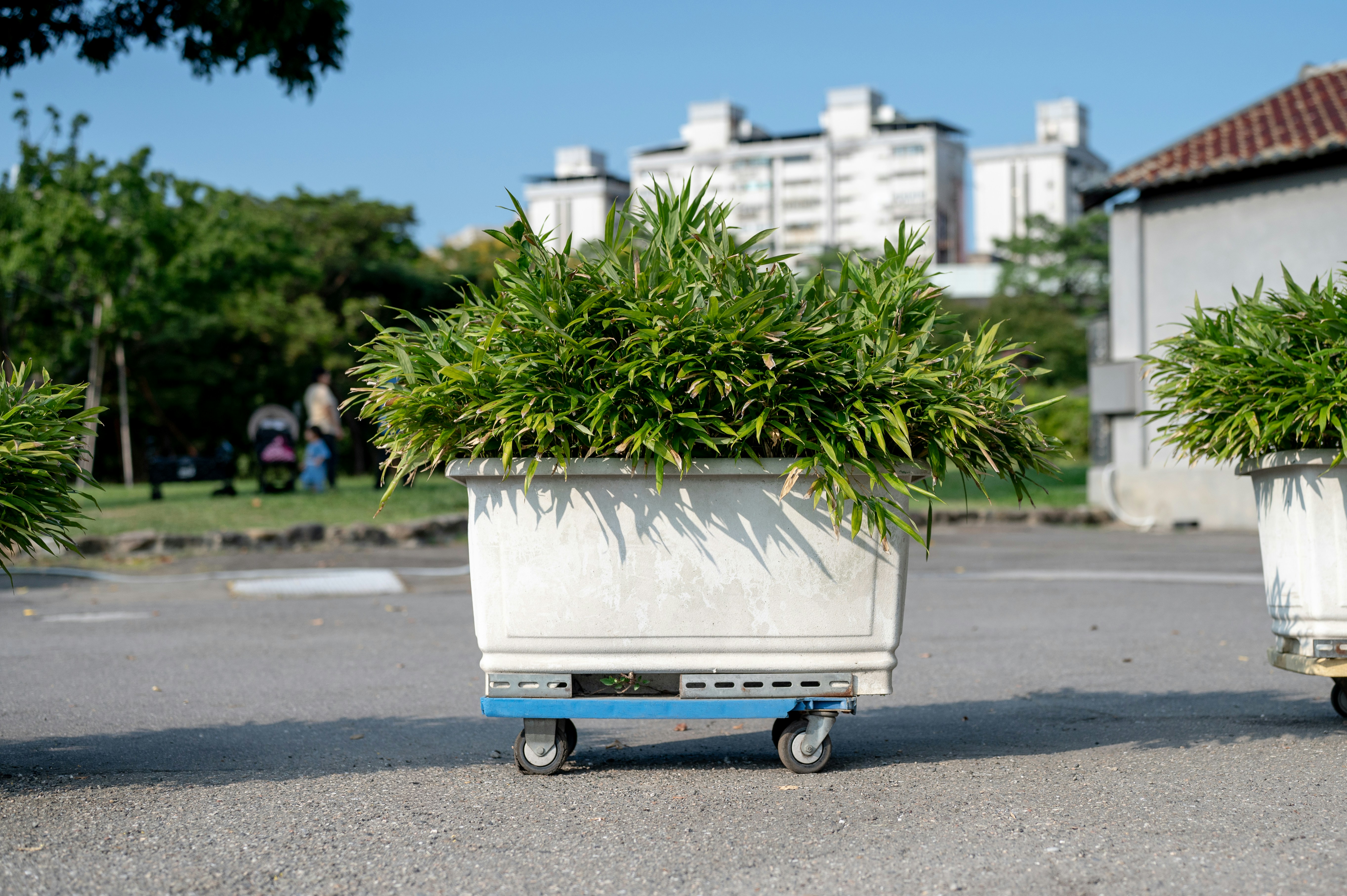 White planter on wheels with green plants outdoors.