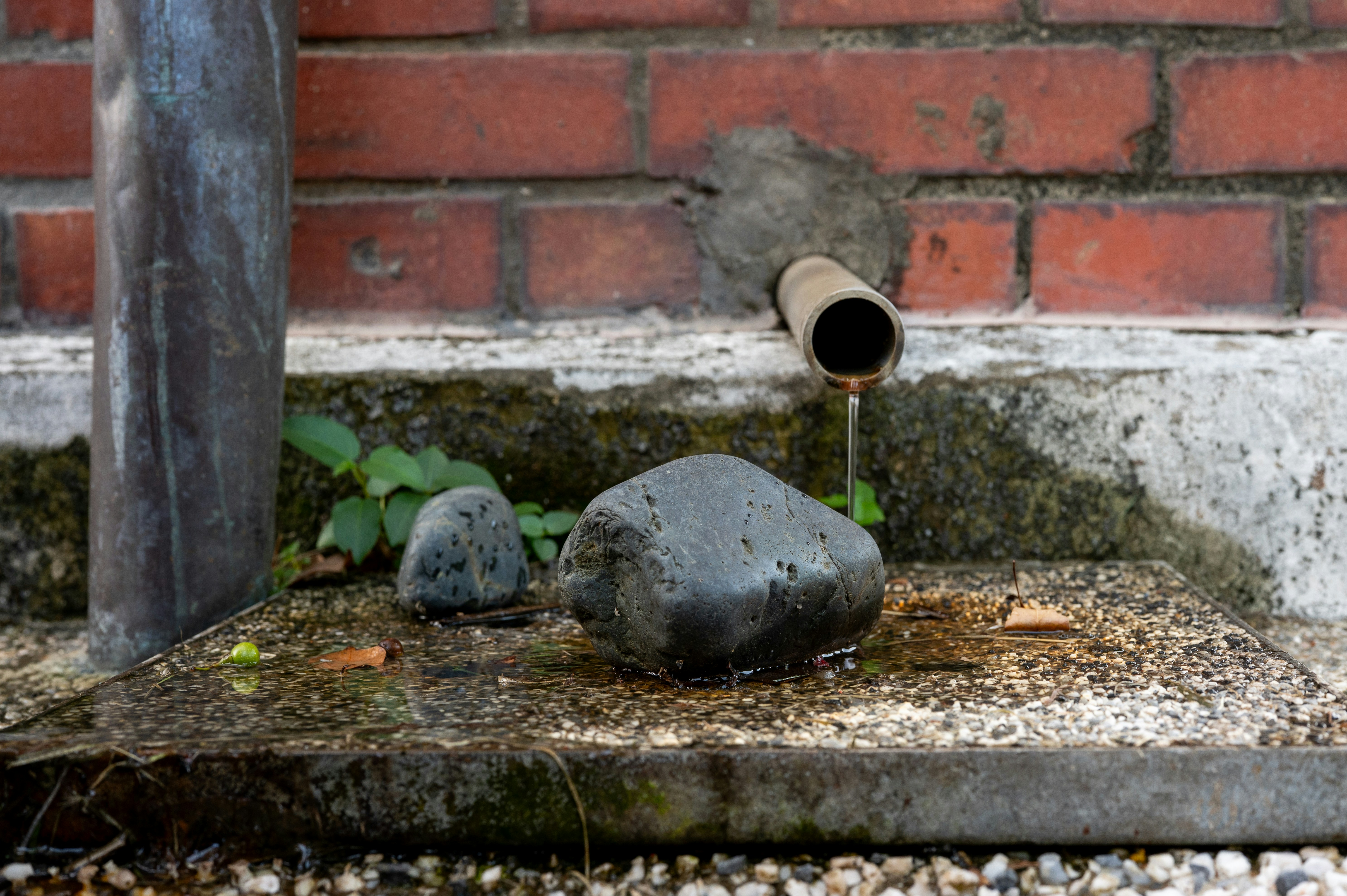 Nature's Quiet Resilience: Water Meets Stone