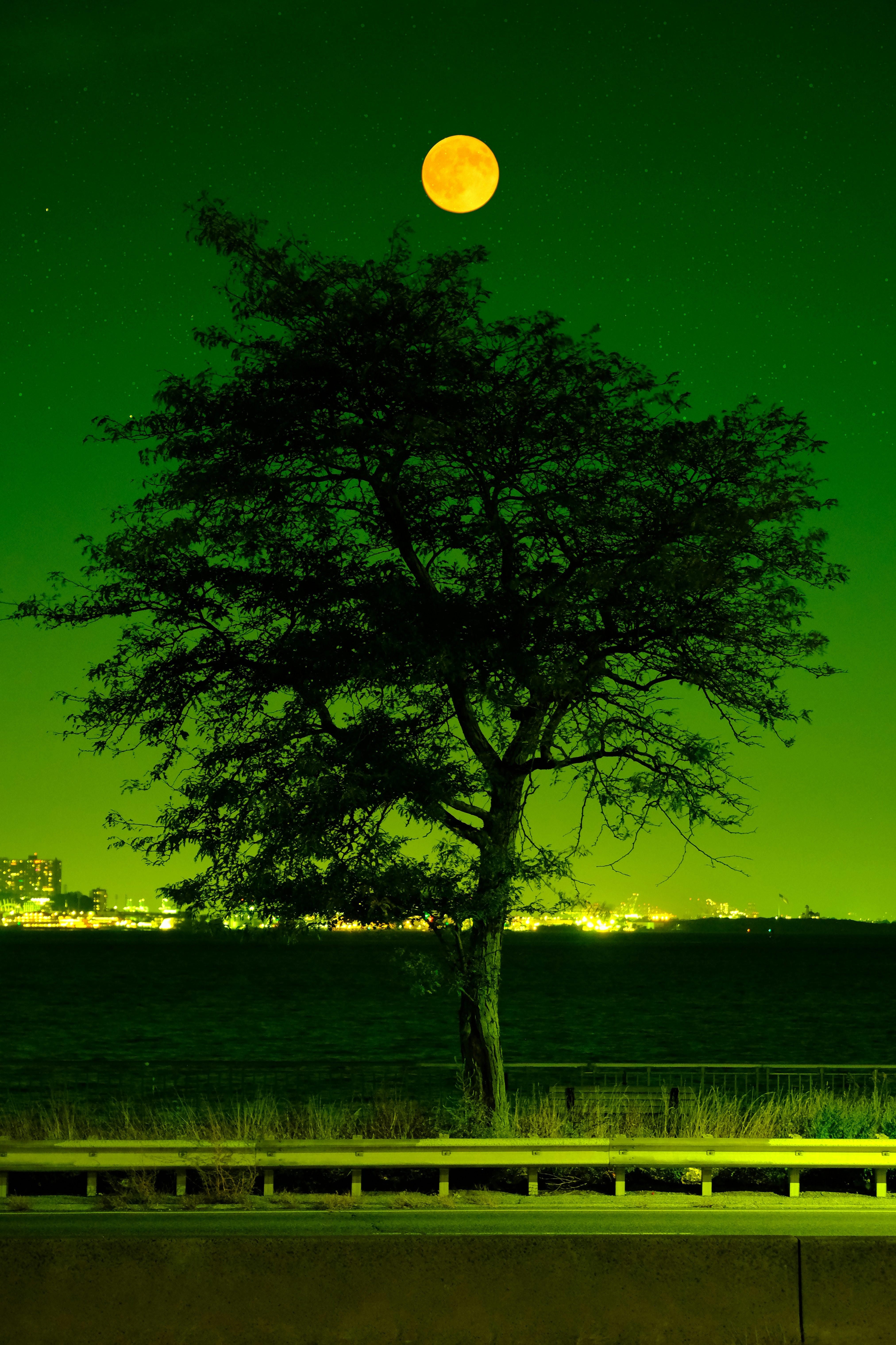 tree with moon in sky, double exposure | Full moon rises over a silhouetted tree at night.