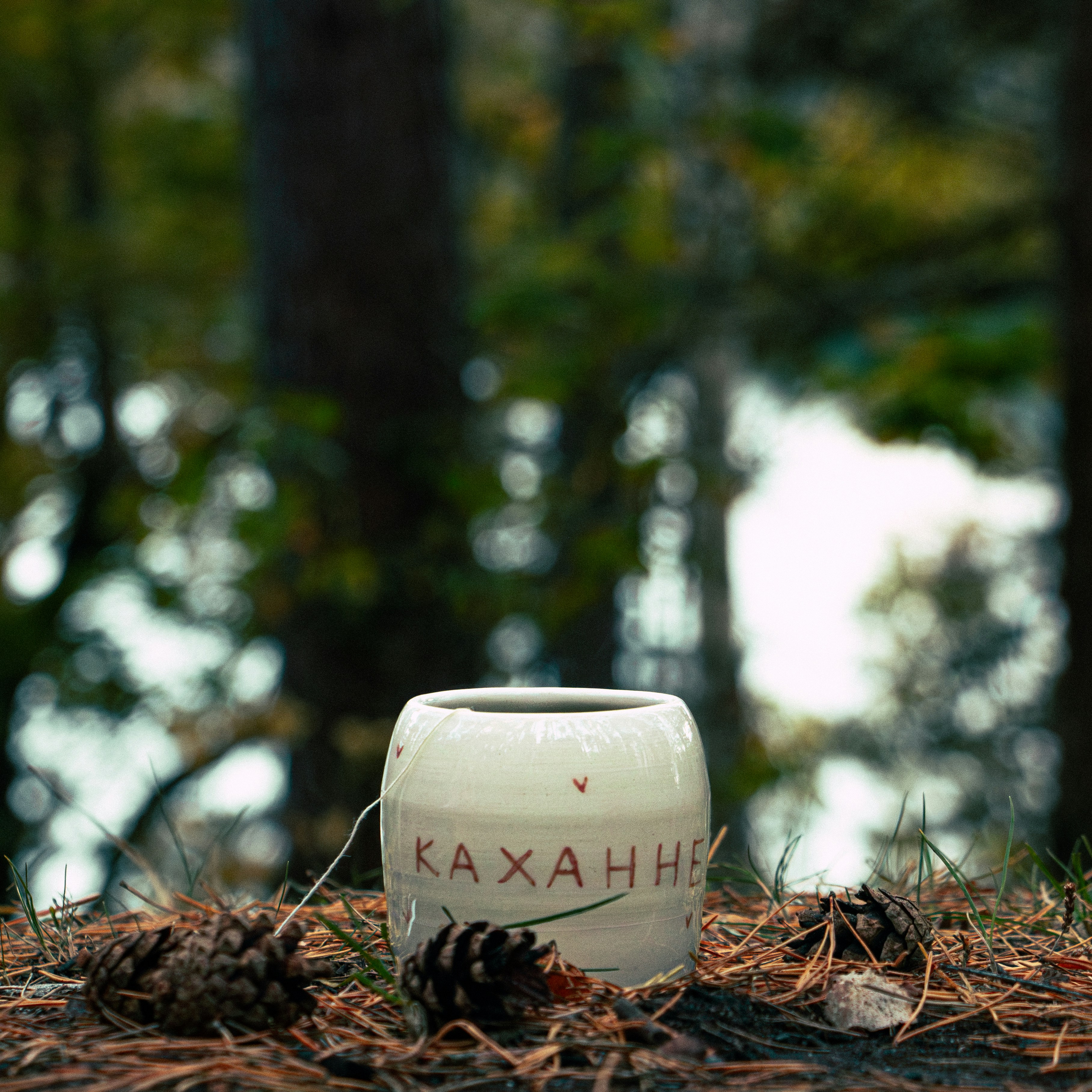 Forest Mug in Nature Setting | A mug sits on the forest floor with pinecones.