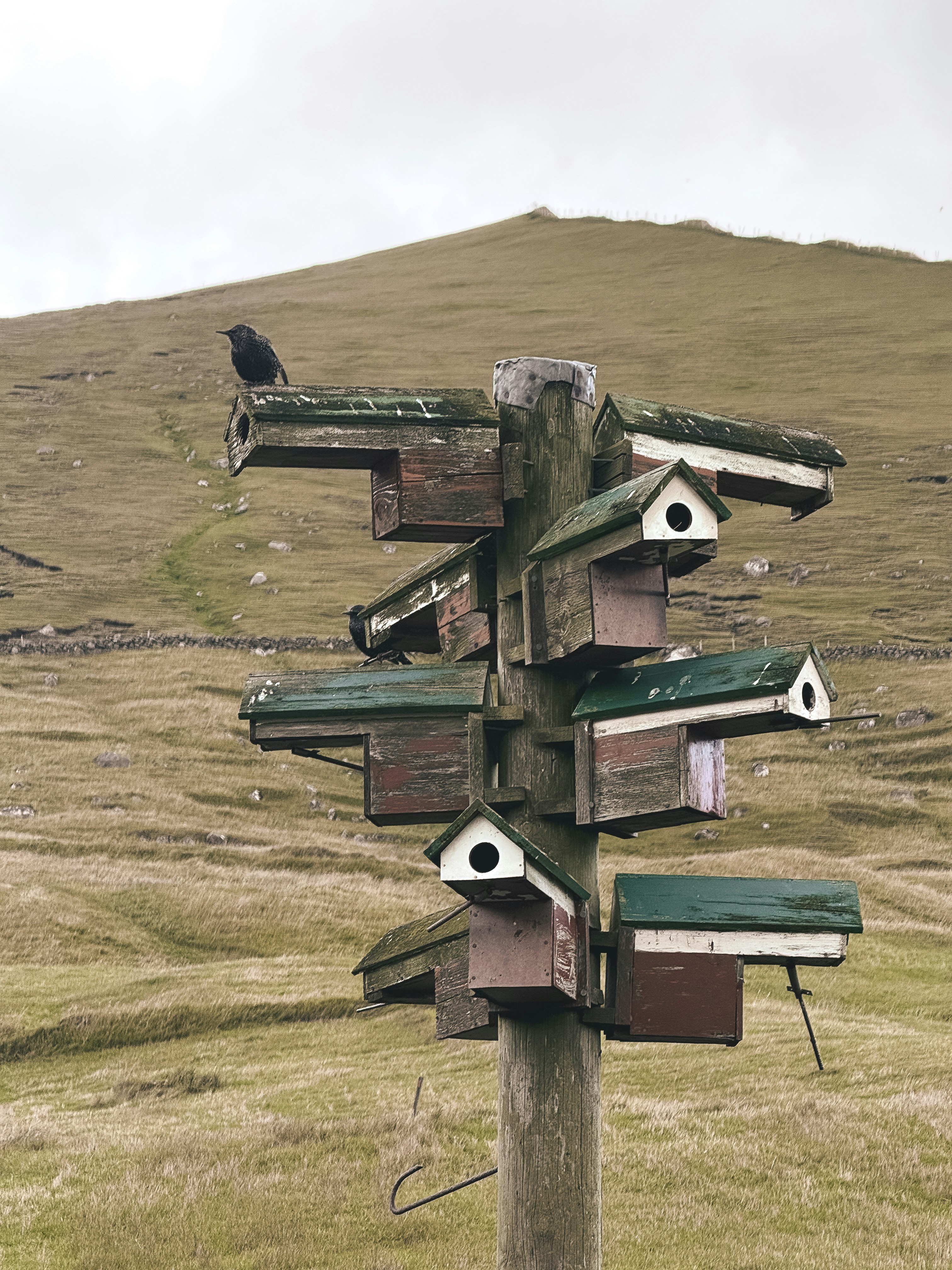 Weathered Birdhouse Tower on a Wind-Swept Hill