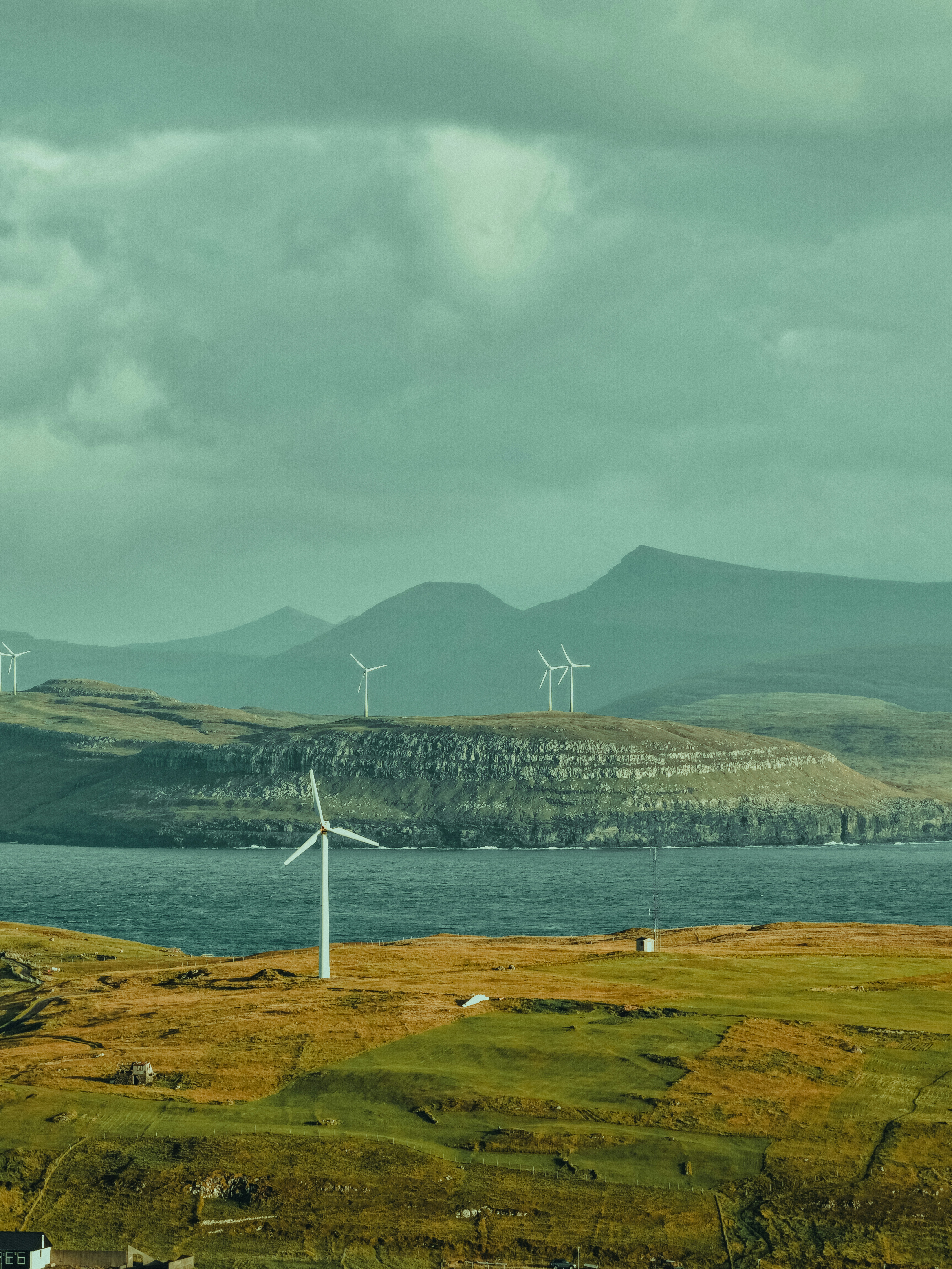 Whispers of the Wind: An Eco-Landscape