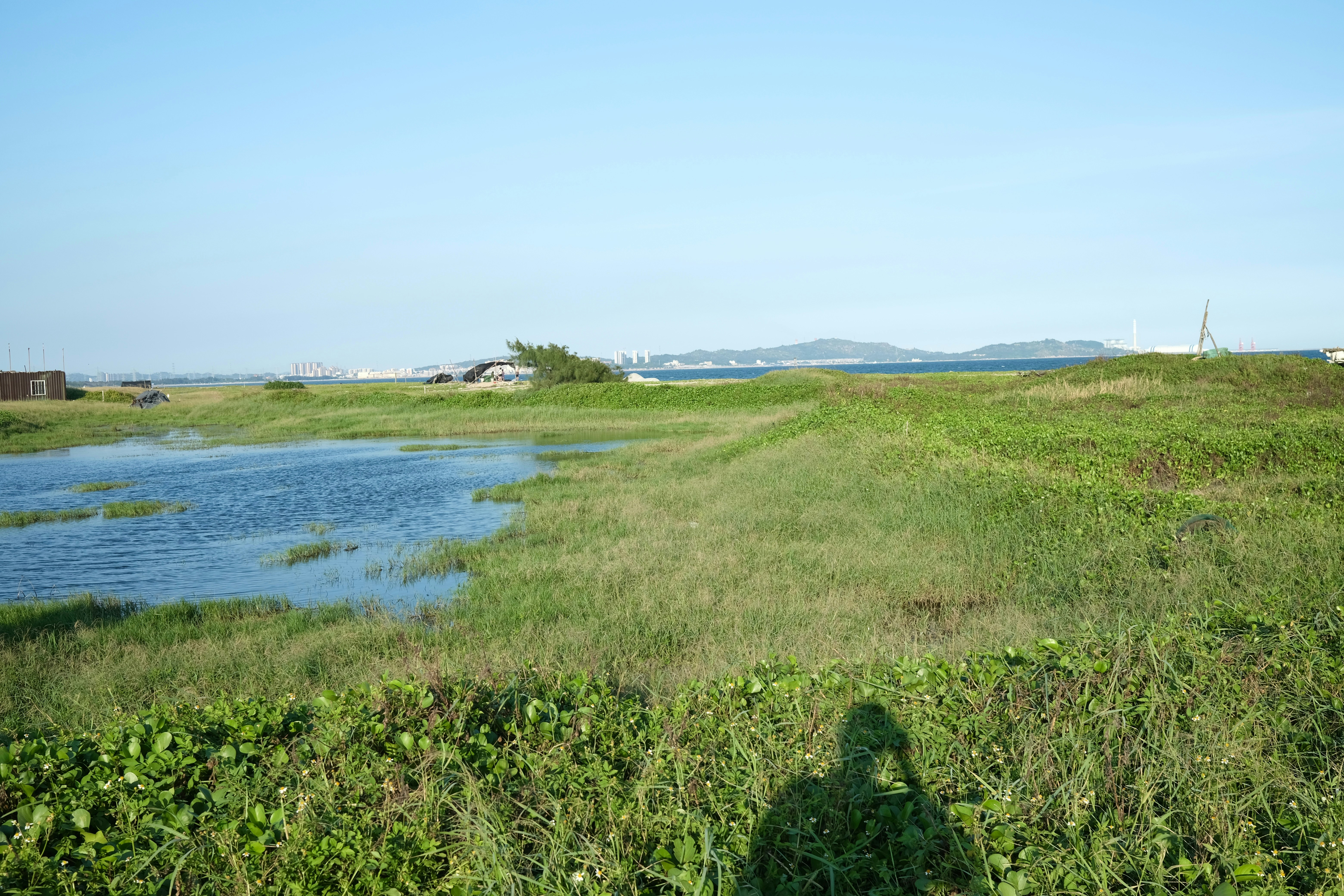 Grassy wetland with blue sky and distant hills