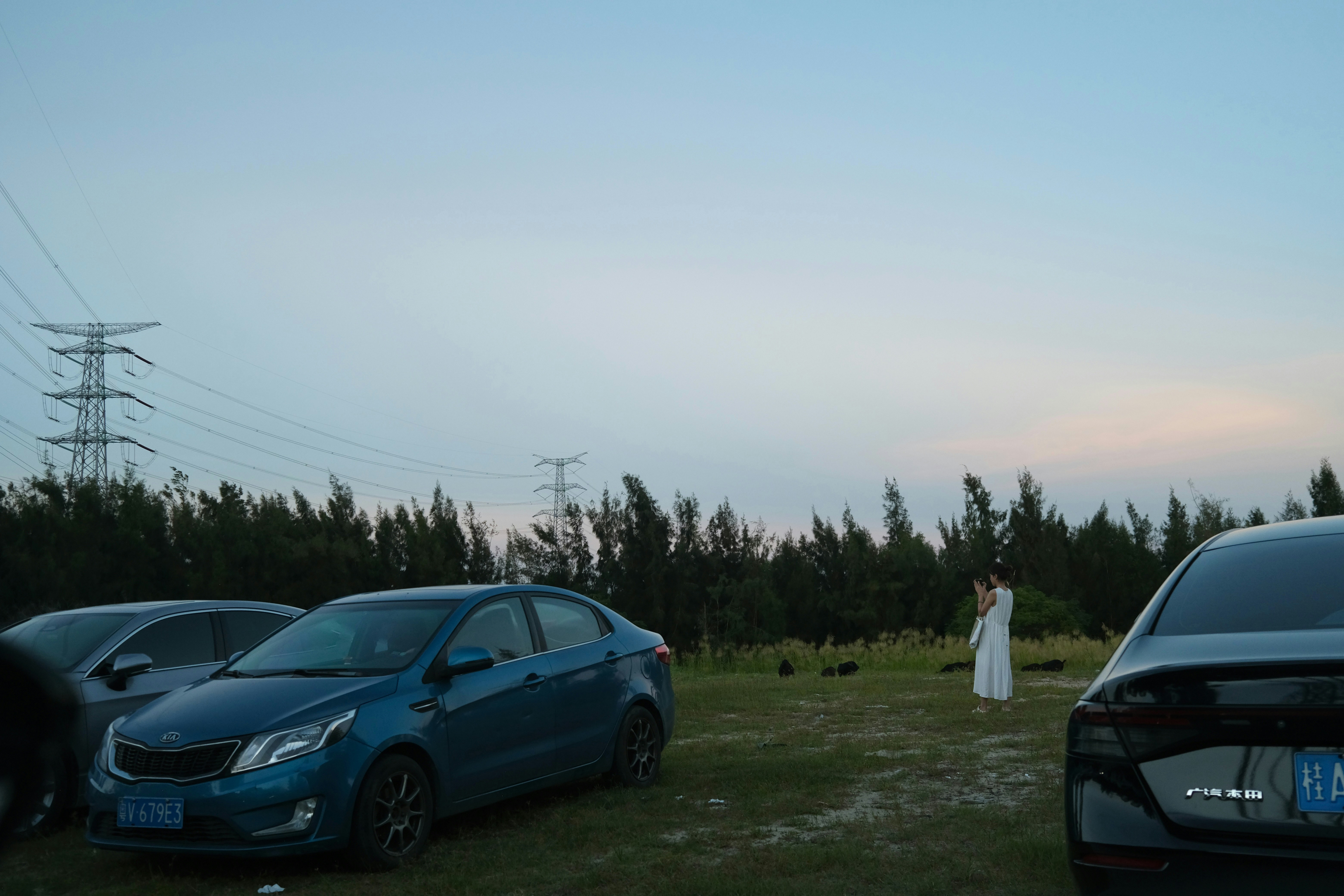 Whispers of the Evening Sky