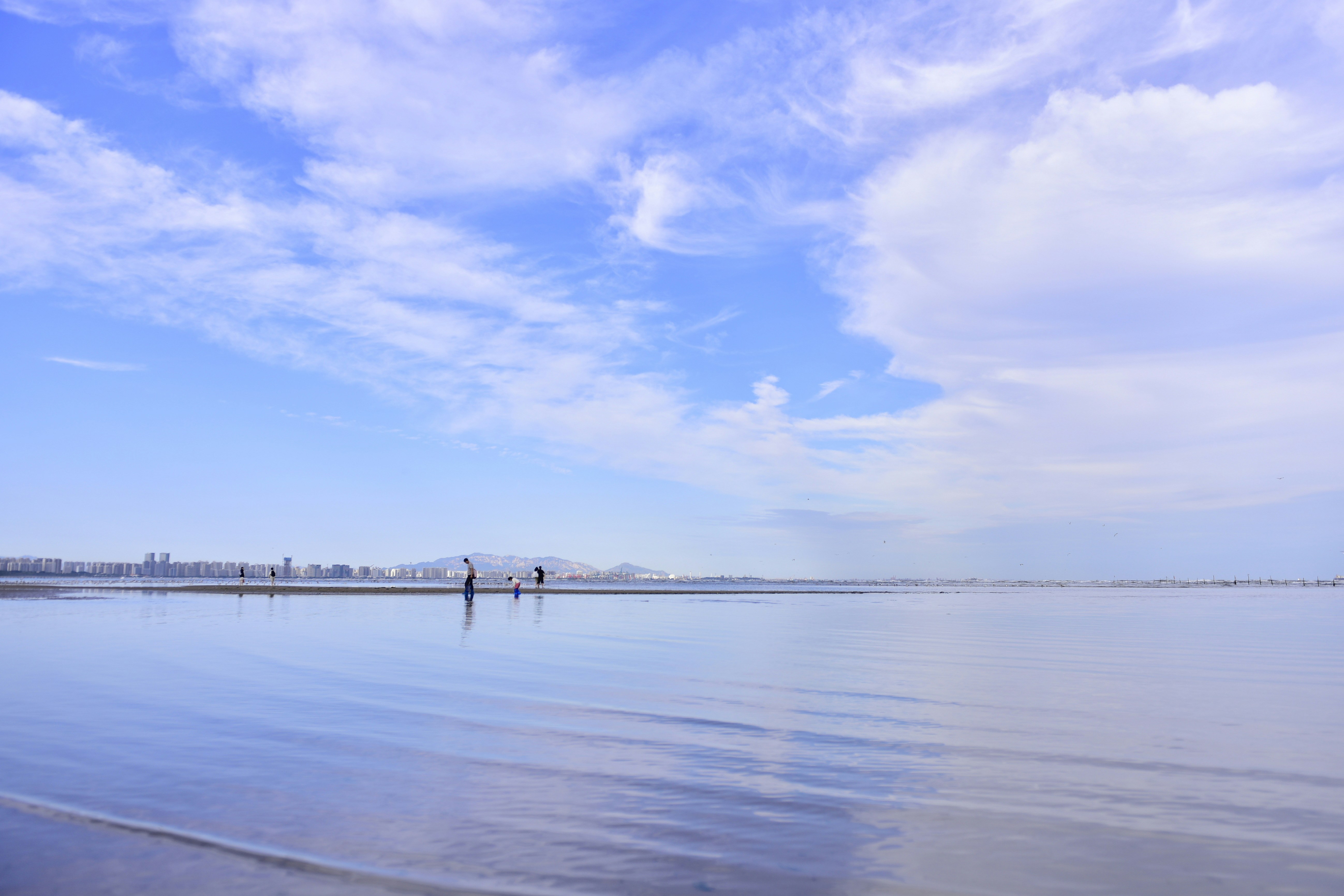Serenity by the Shoreline: A Coastal Stroll