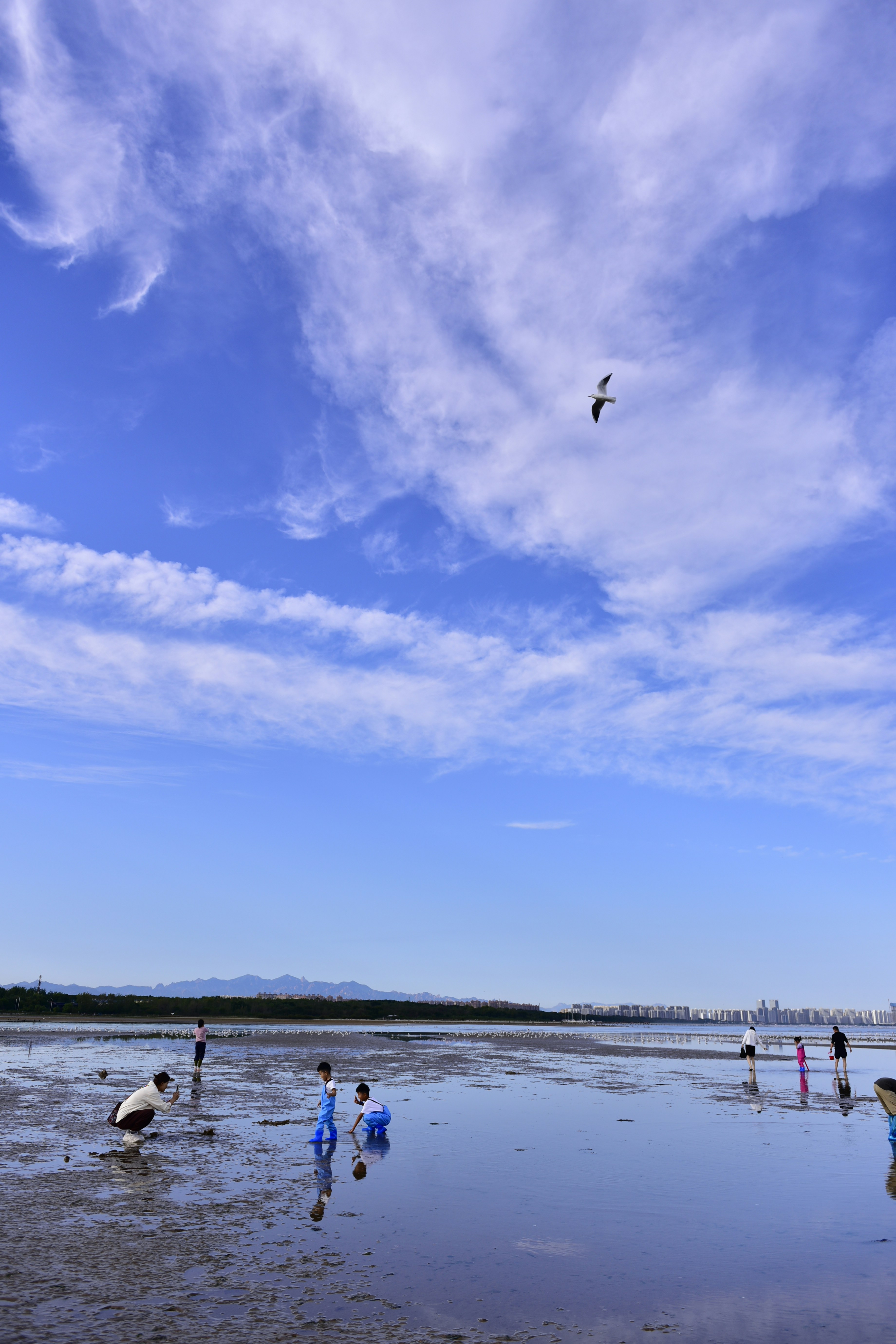 Harmony at Low Tide