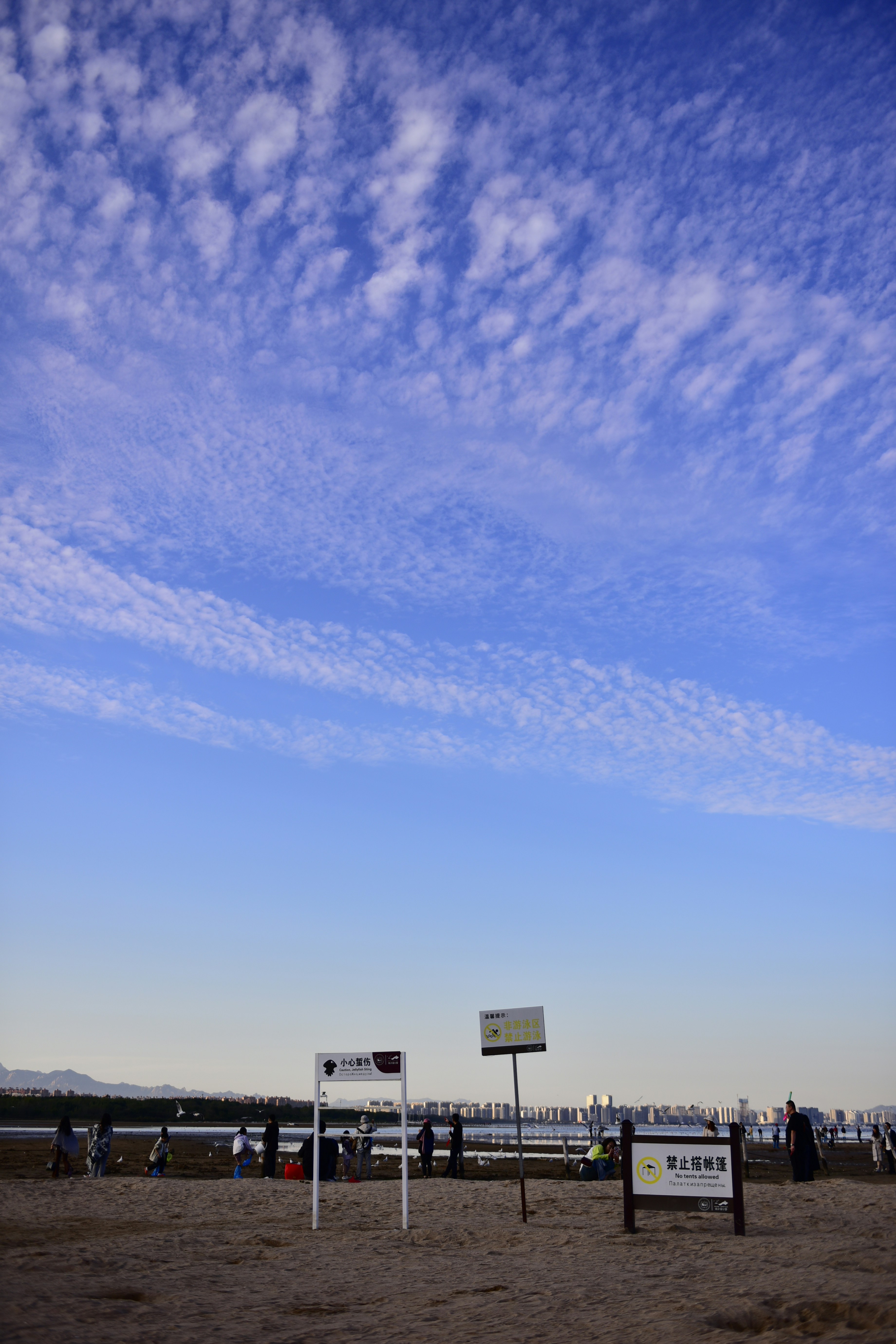 People strolling along a sandy beach under a vast sky adorned with wispy clouds. Informative signs dot the landscape, hinting at the beach's features.