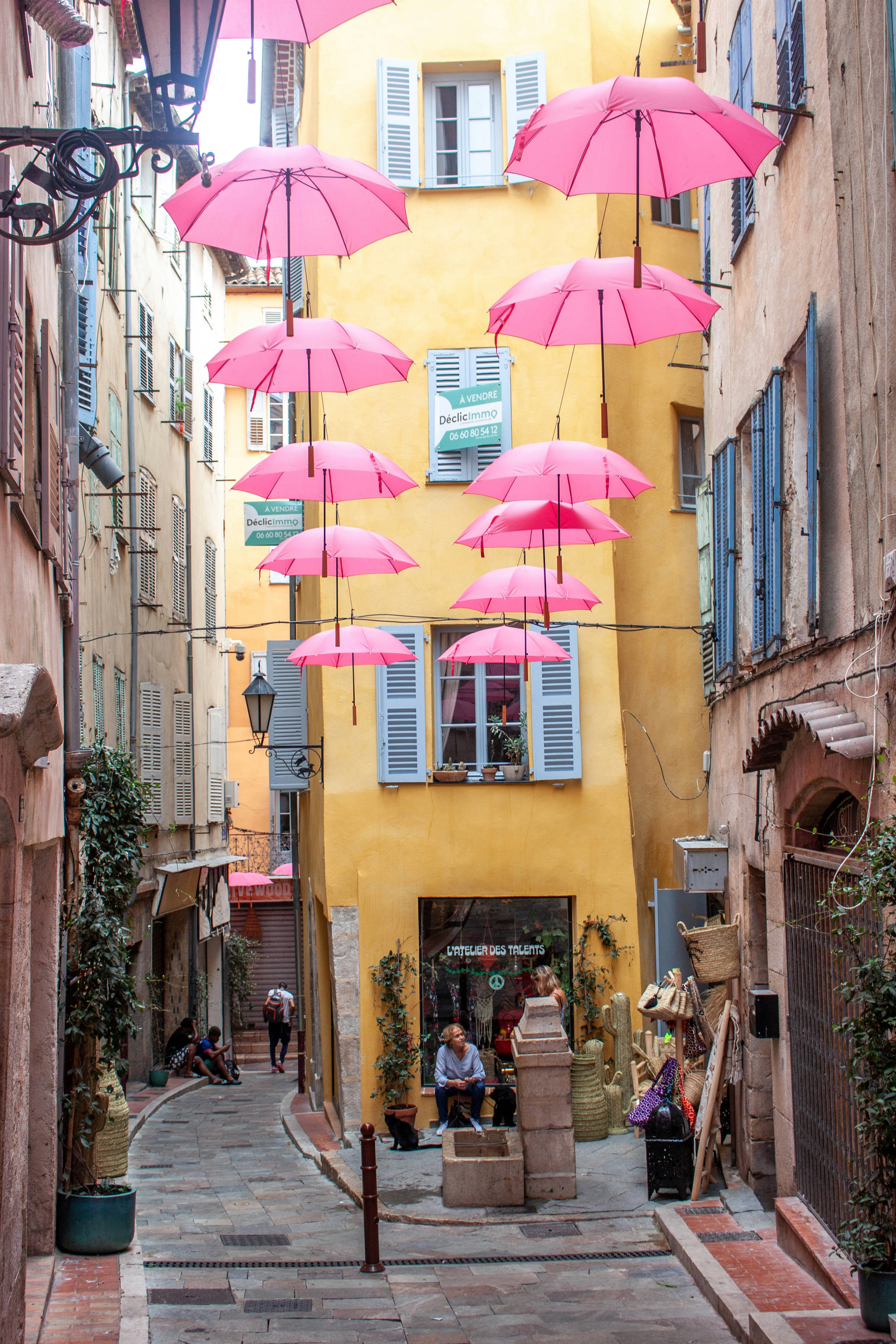 A Canopy of Color in the Heart of the Alley