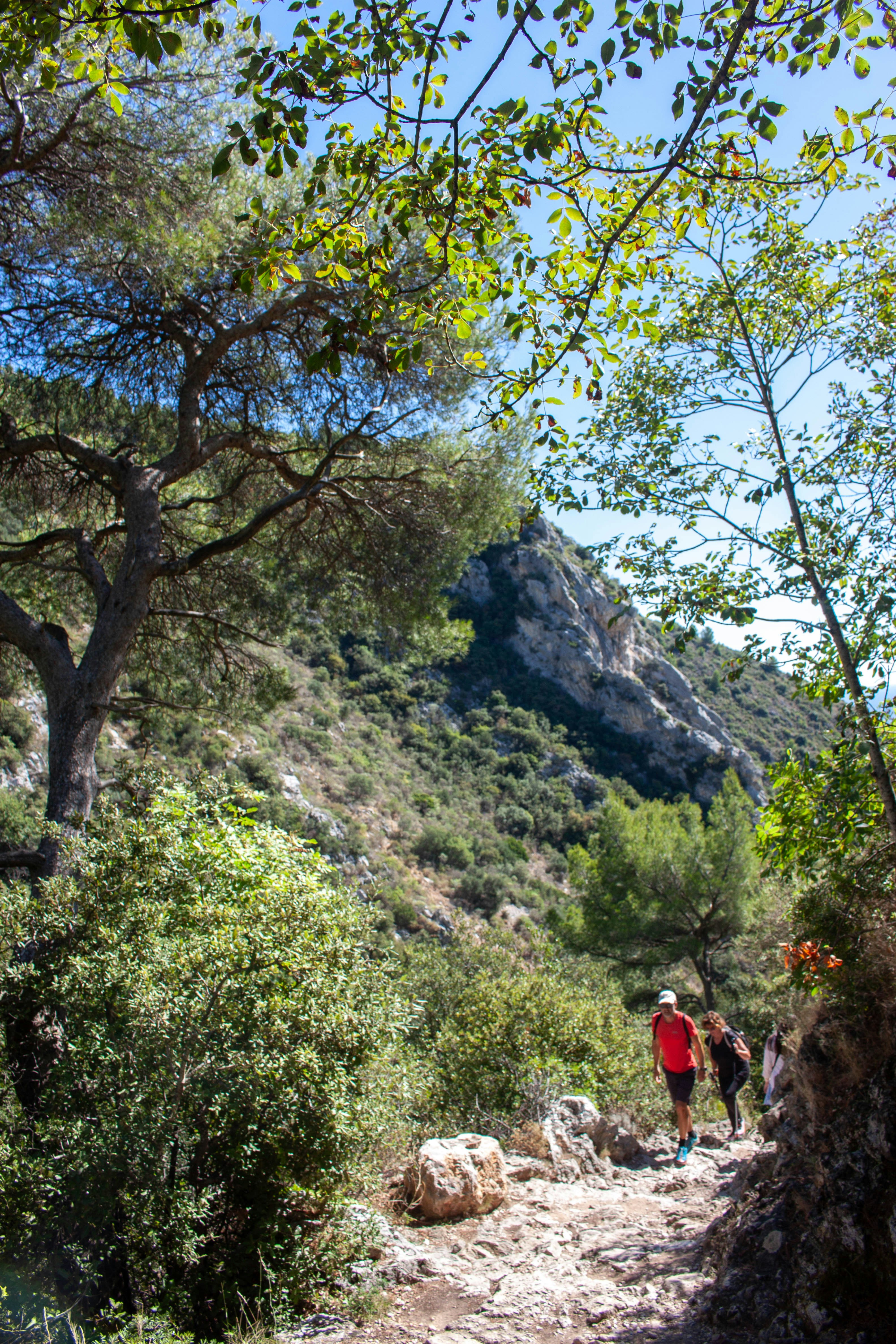 Trailblazers Amidst Nature's Embrace