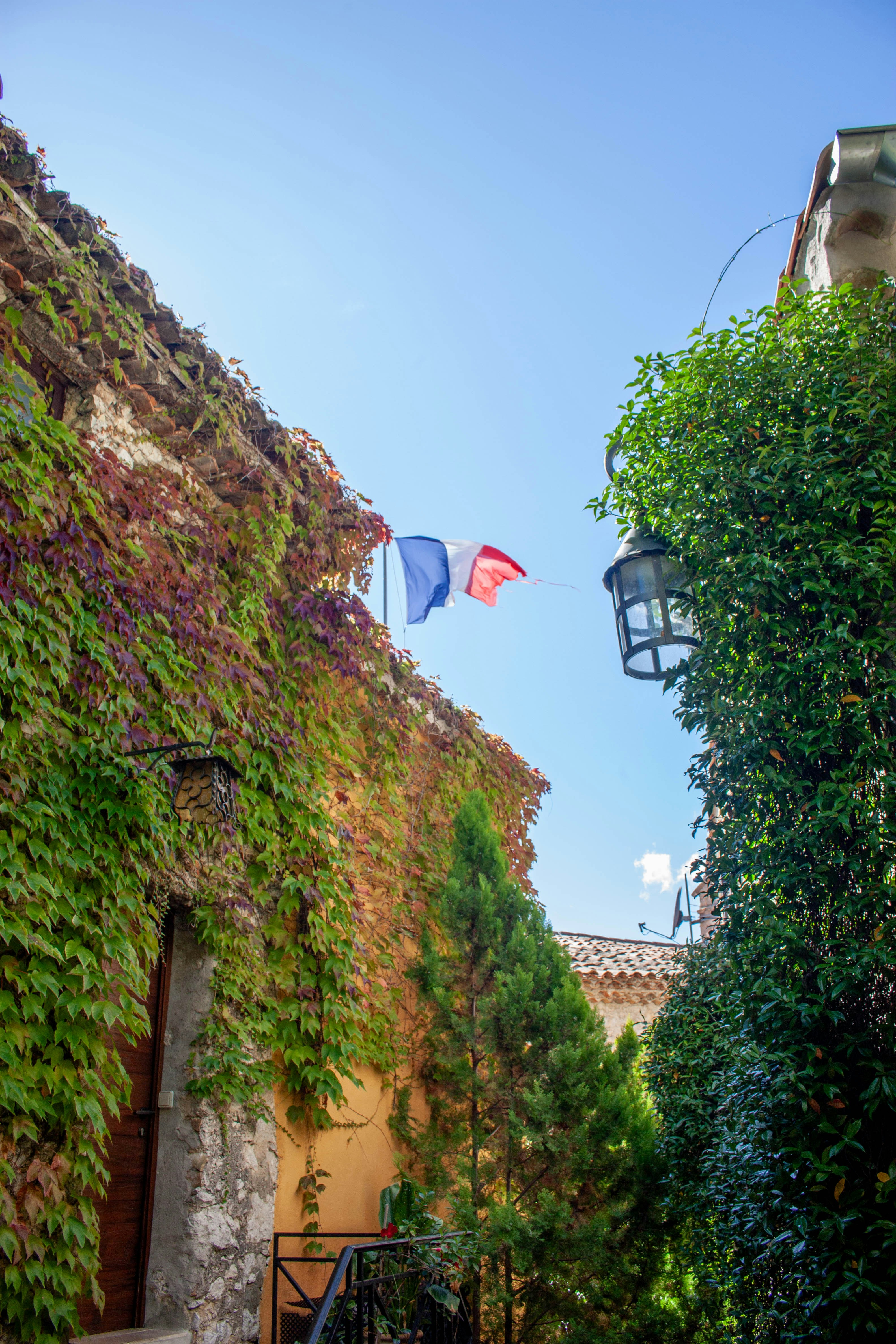 French flag flies over a building covered in ivy. photo – Free Blue sky ...