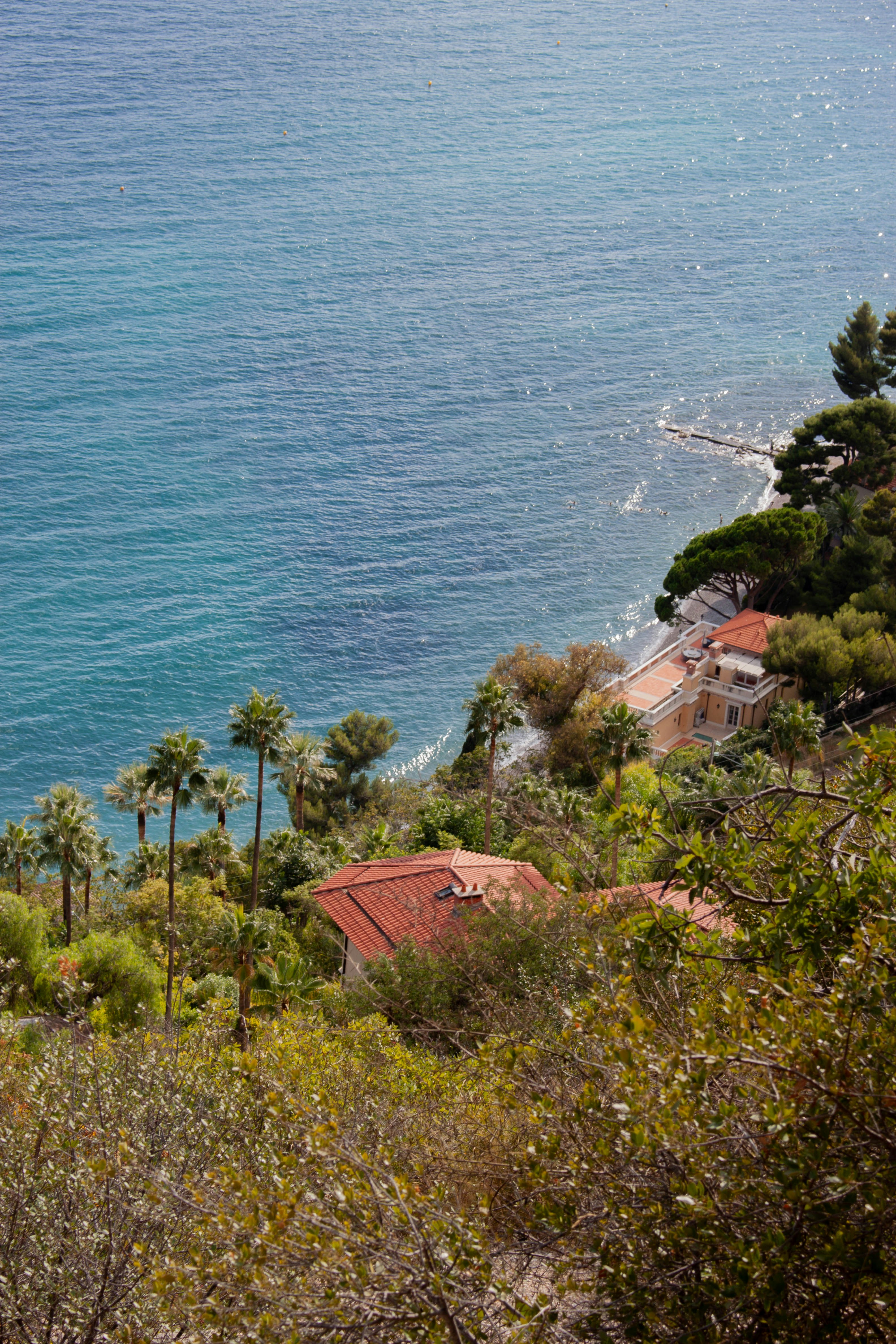 Aerial view of a coastal landscape featuring lush greenery, palm trees, and elegant villas along the shoreline. The tranquil blue waters reflect the sunlight beautifully.