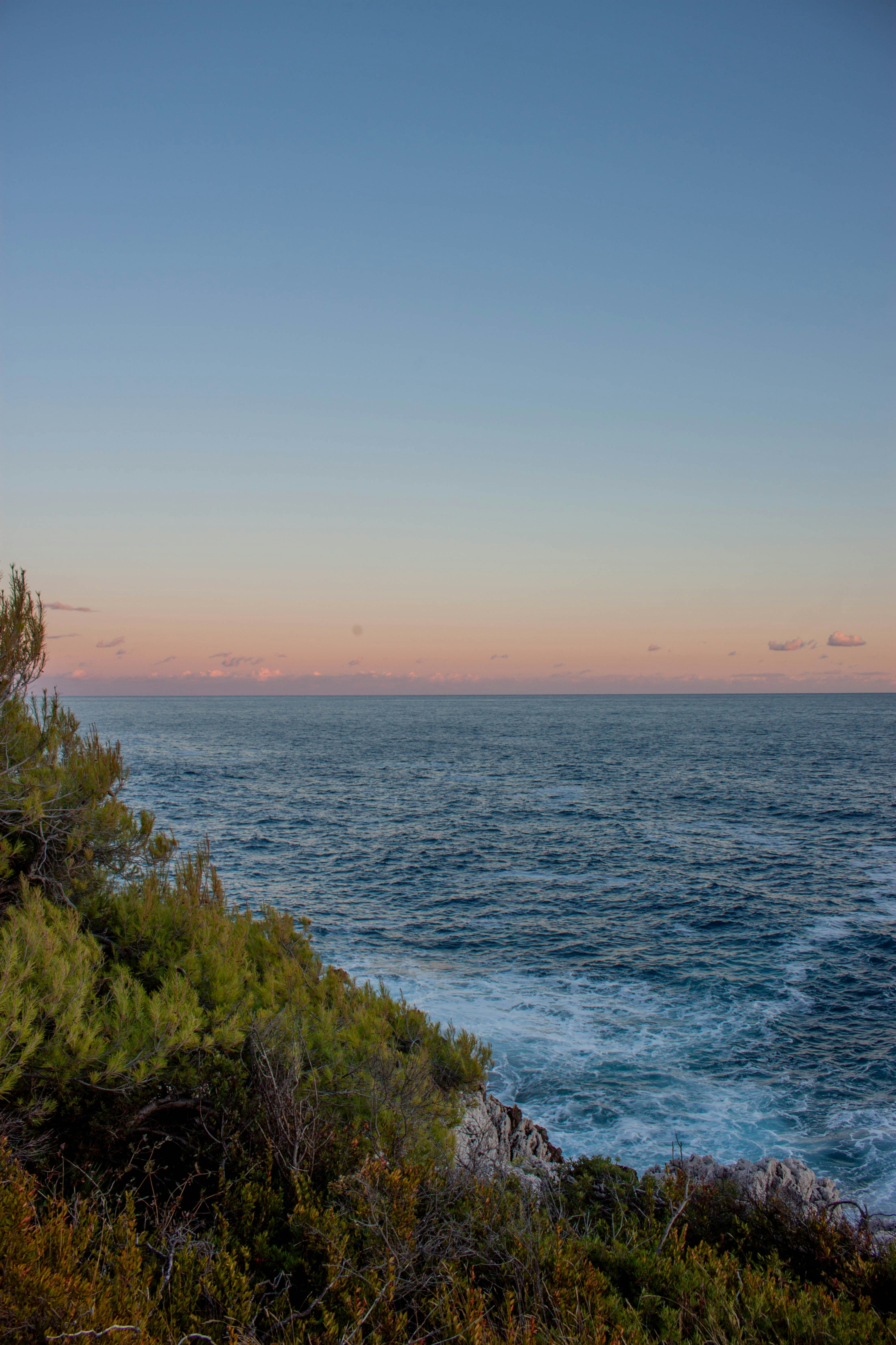 Vast ocean waves gently lapping against a rocky shoreline, framed by lush coastal vegetation under a pastel sky.