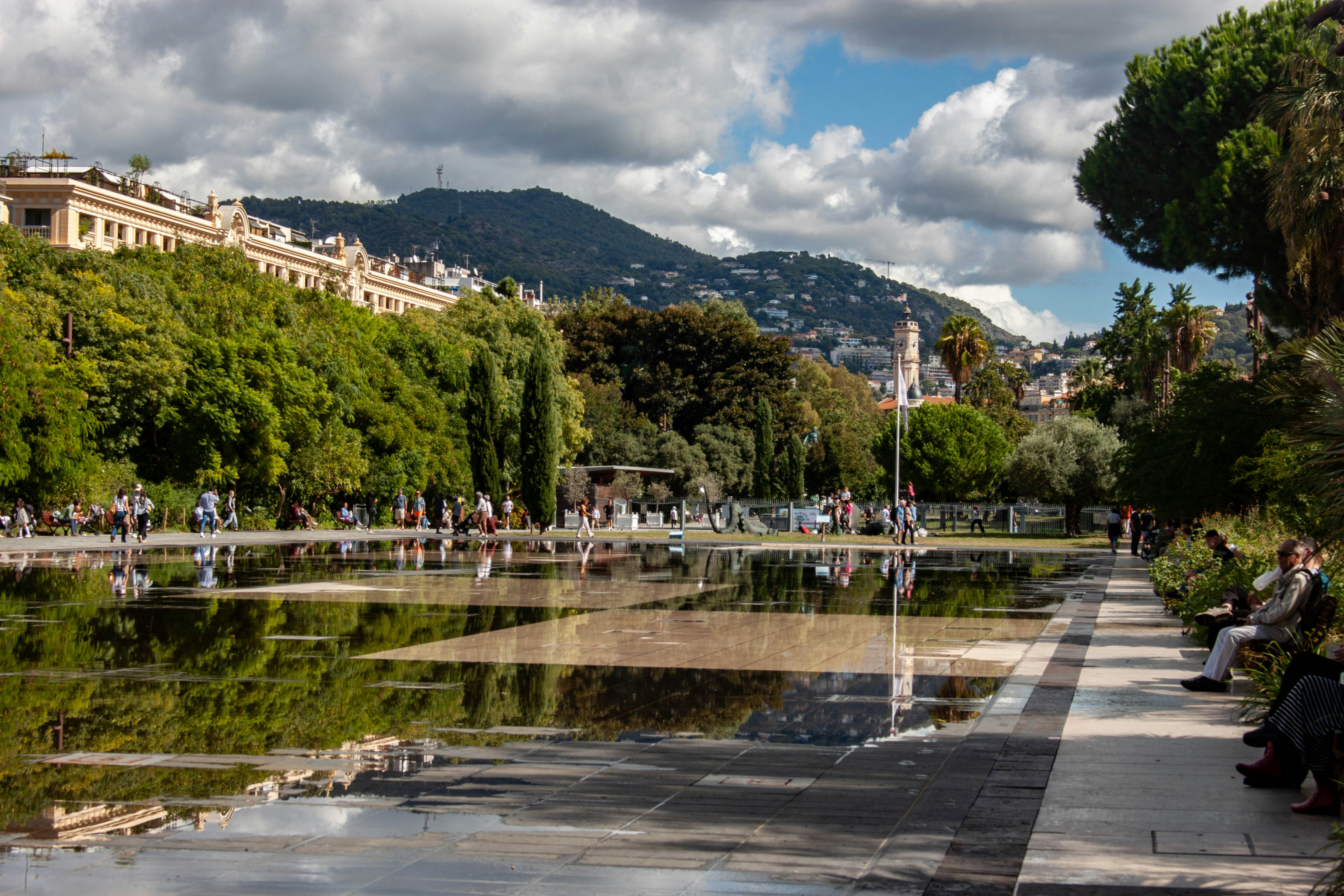 Reflections of Serenity: A Lush Urban Escape