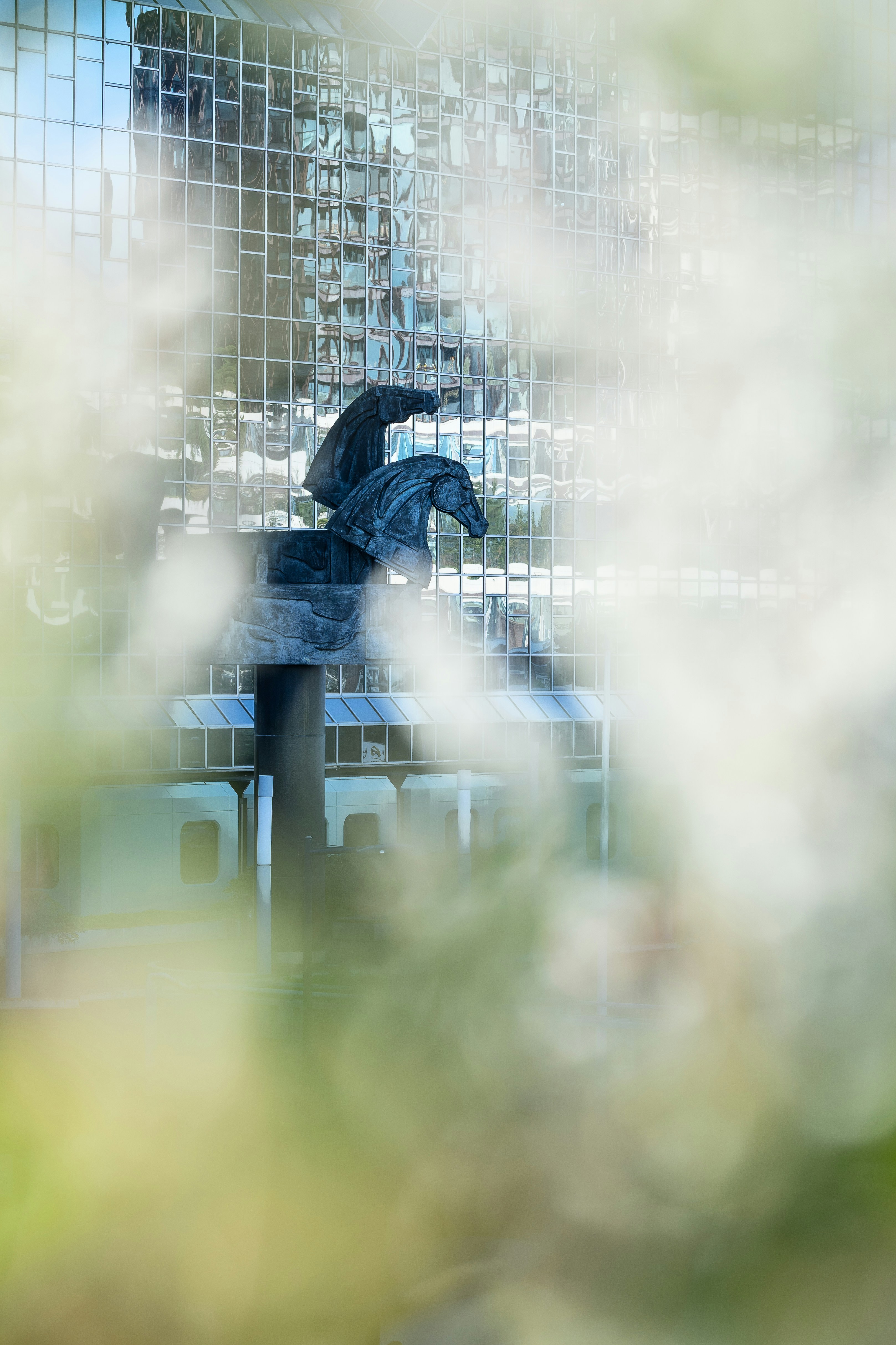 Equine Elegance Amidst Urban Reflections